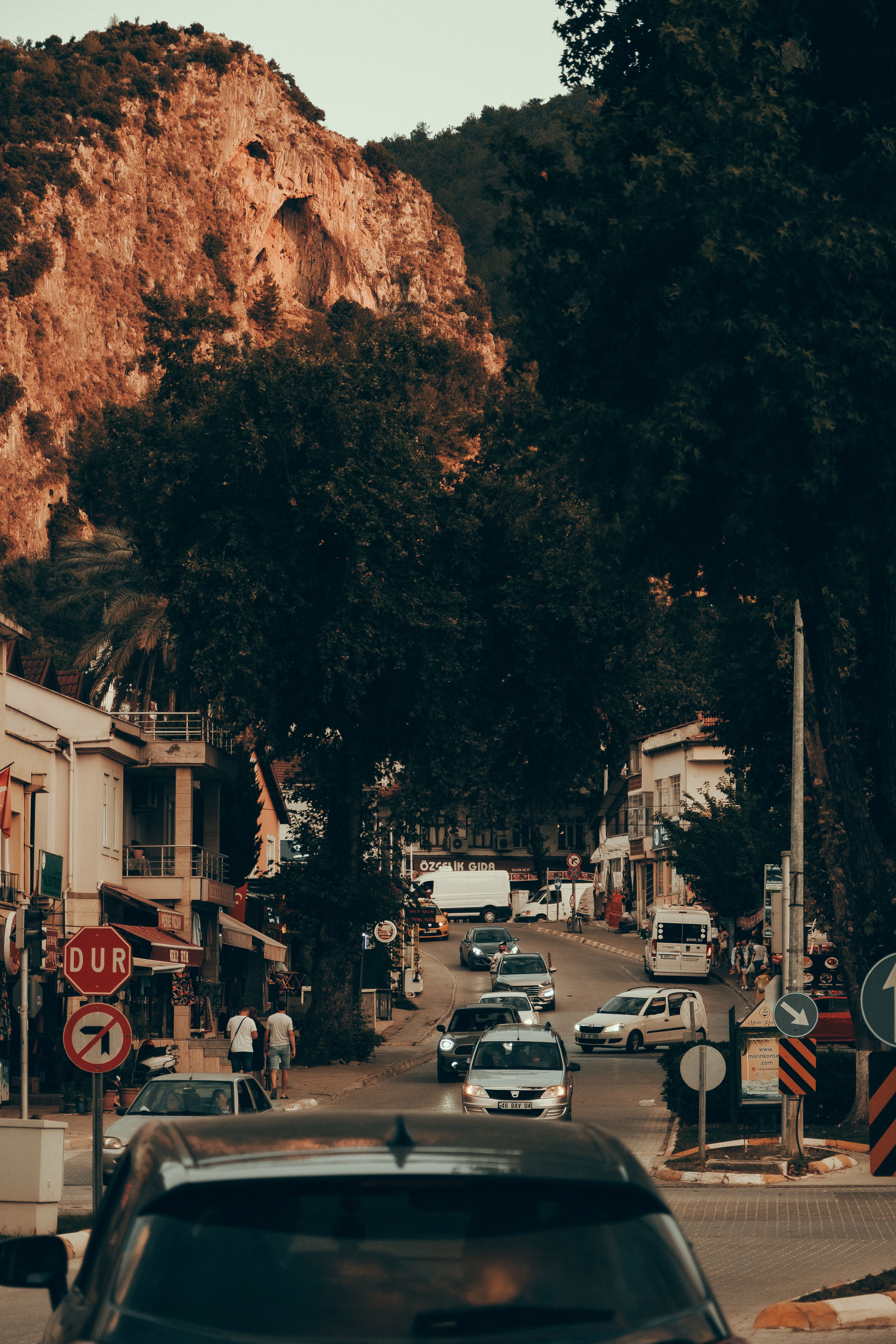Photograph of Cars on a Road near Trees · Free Stock Photo