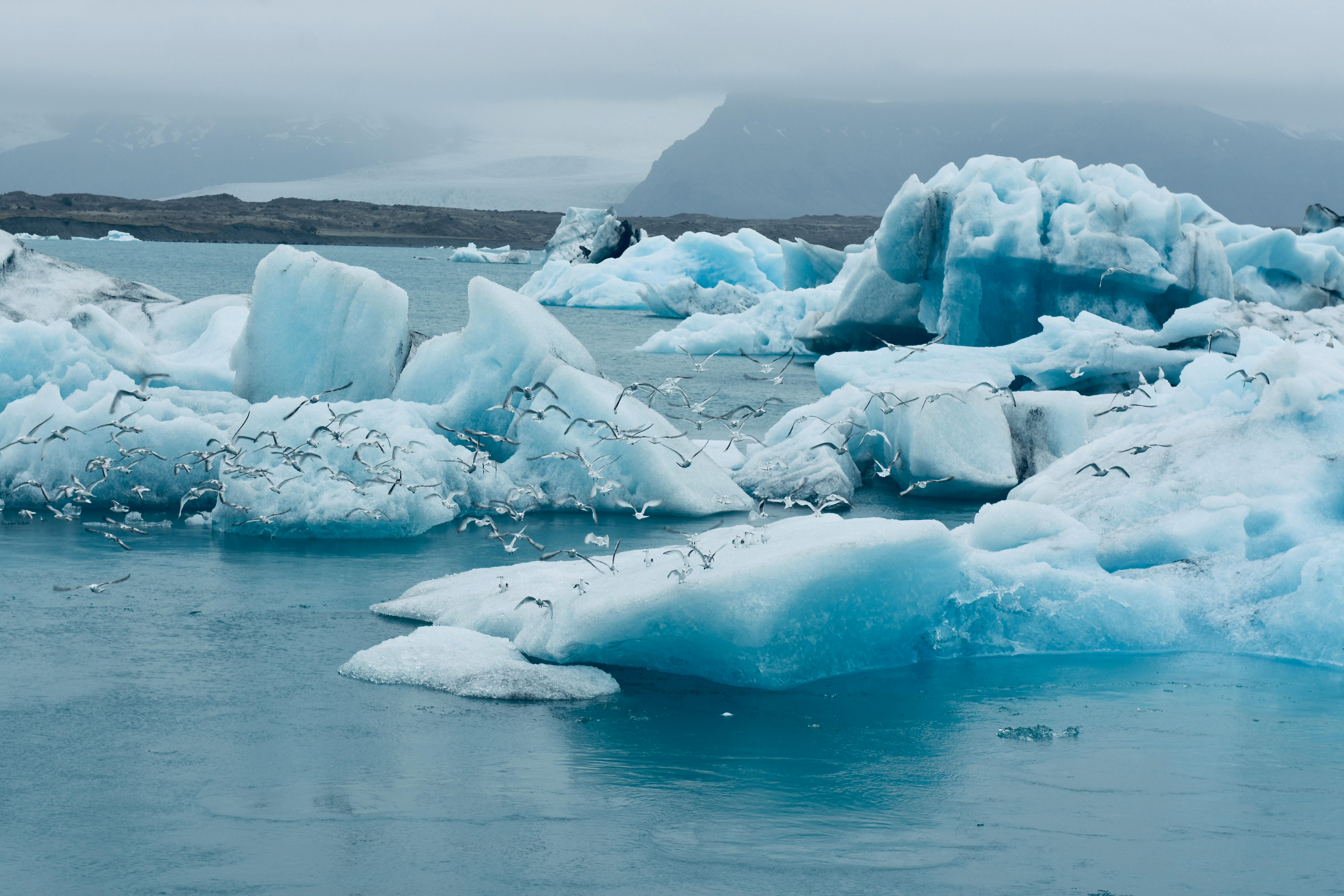 Iceberg in Frozen Water · Free Stock Photo
