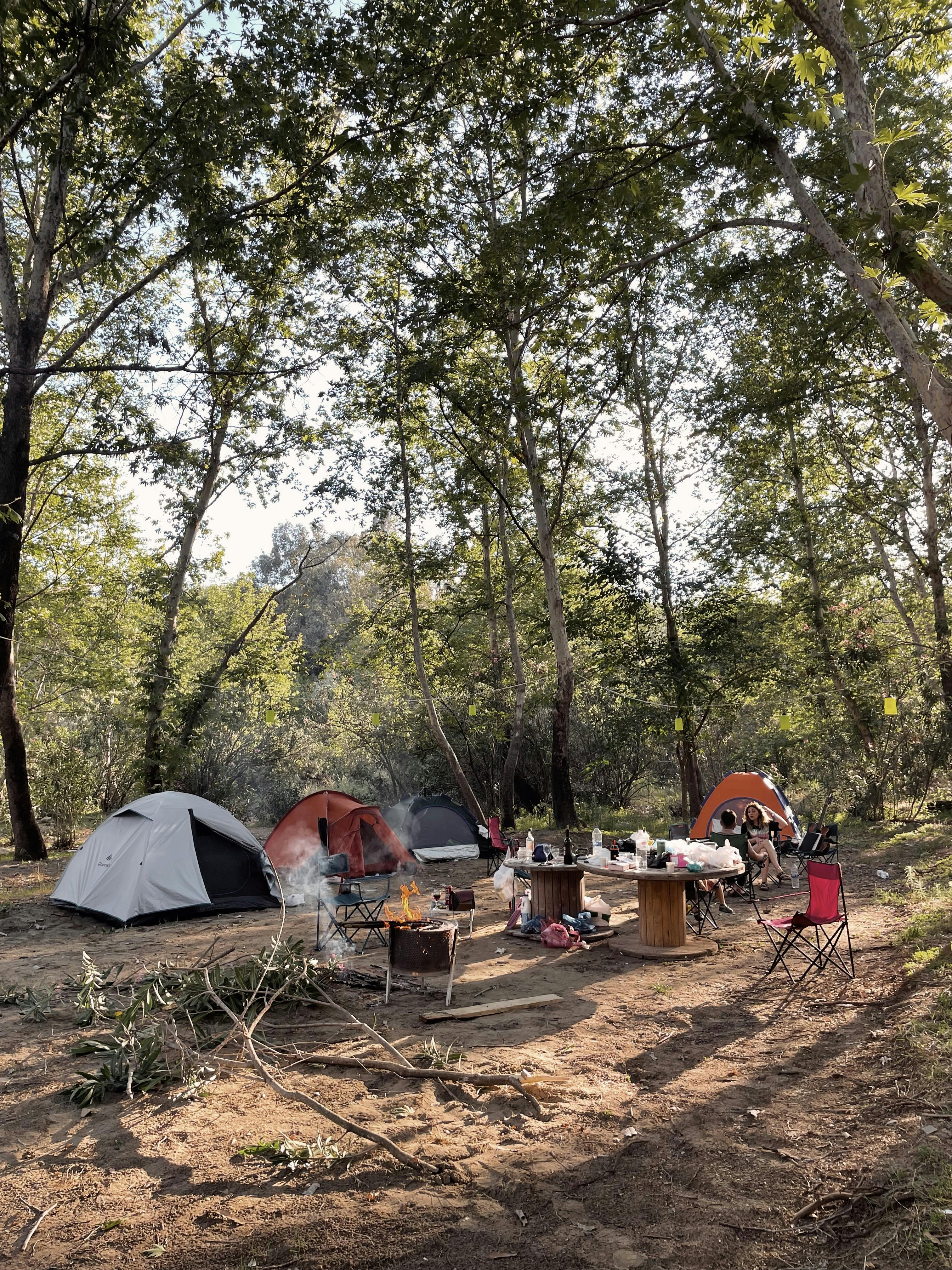 Photo of a Campsite near Trees · Free Stock Photo