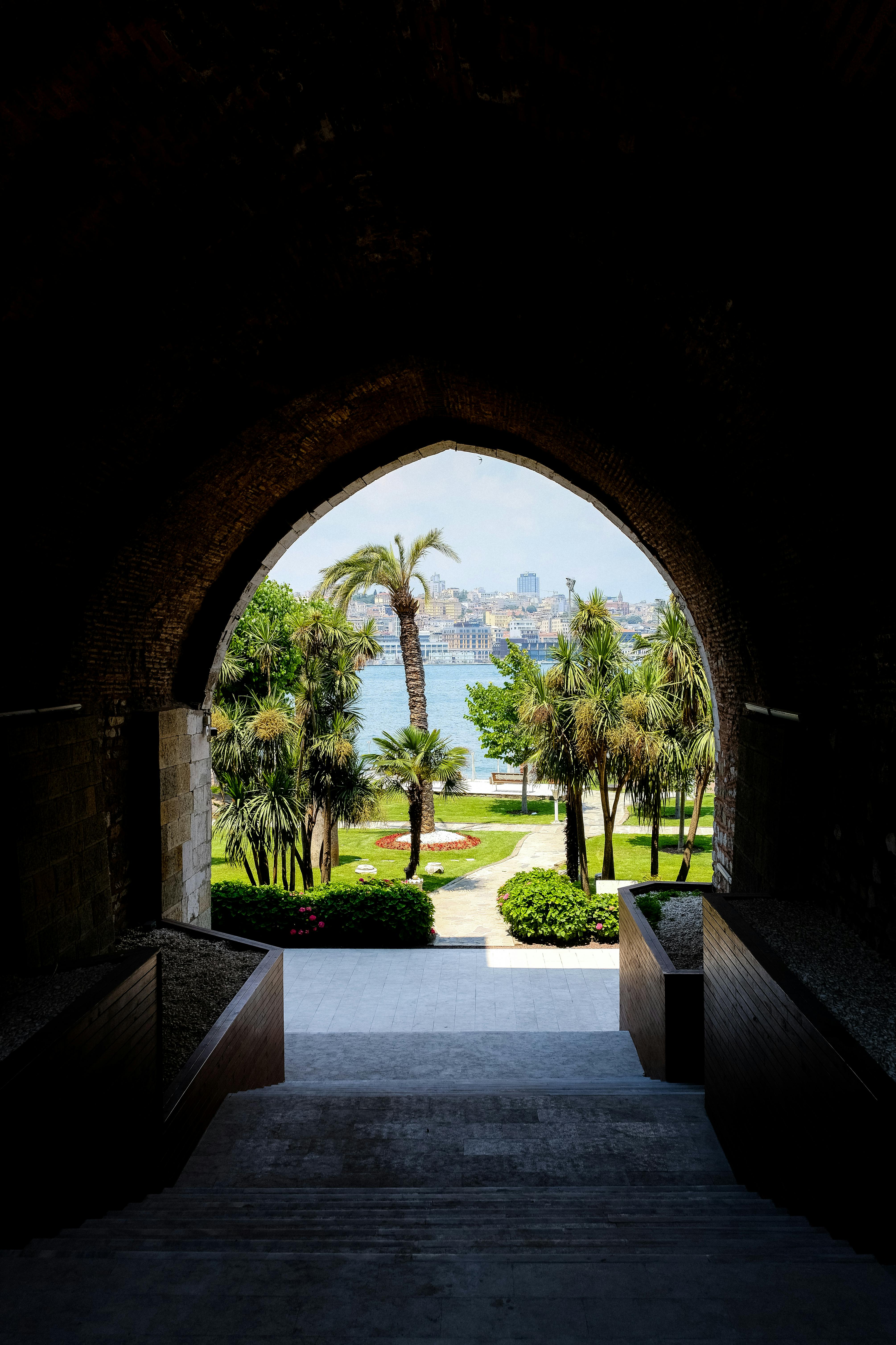 Palm Trees in Park Seen through Arched Gate · Free Stock Photo