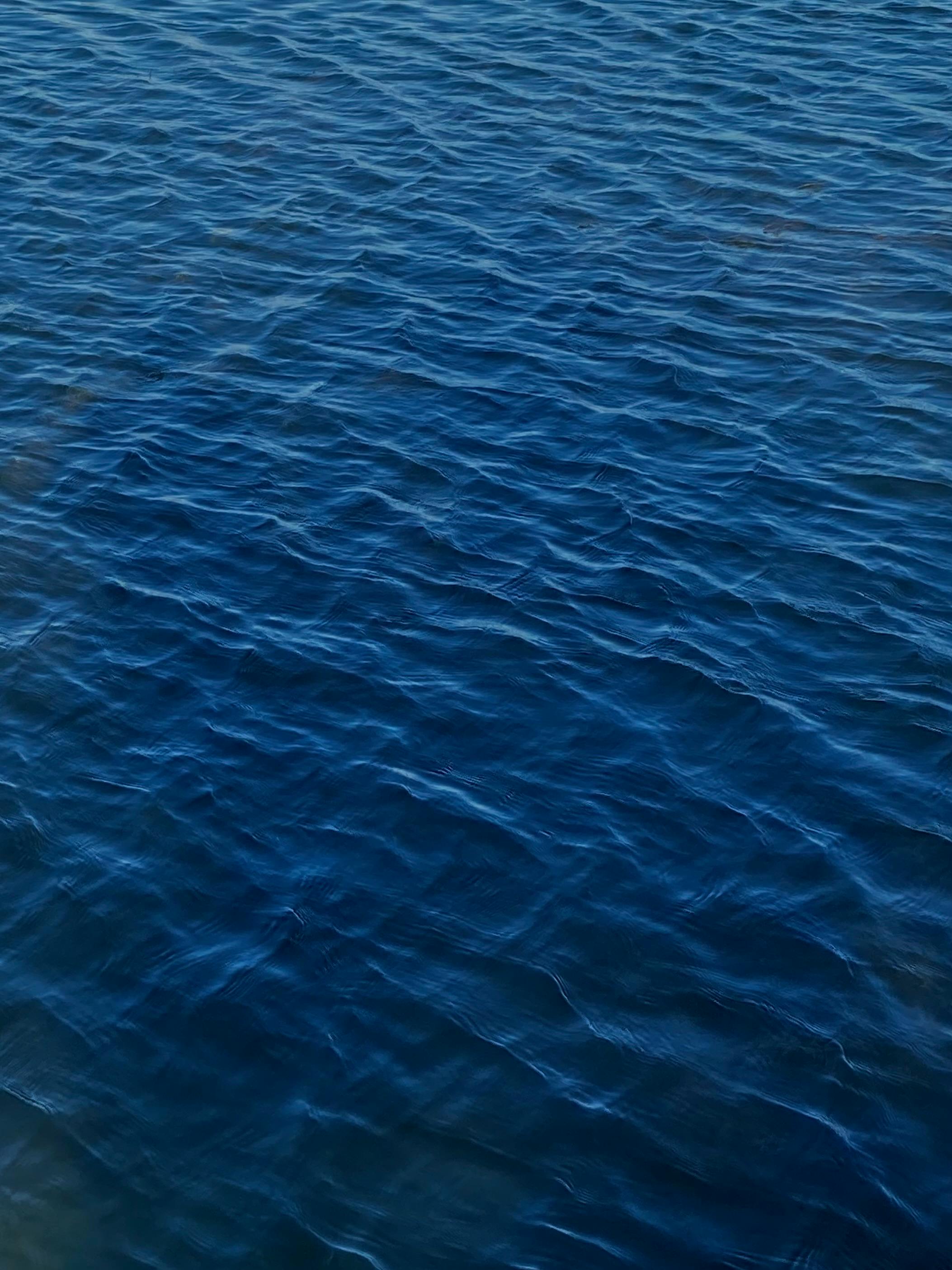 164,064+ Best Free Water ripples Stock Photos & Images · 100% Royalty ...