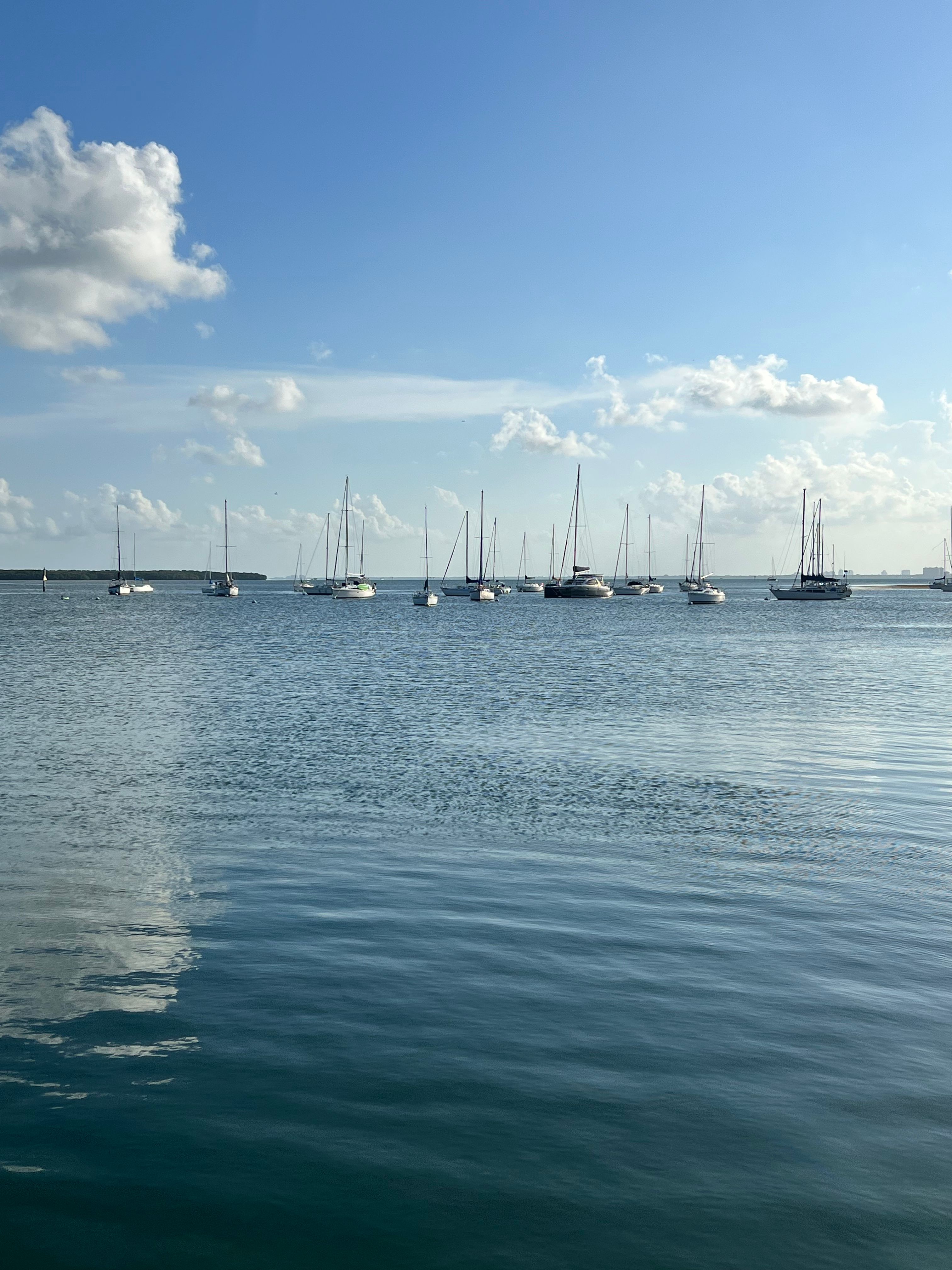 Sails Boats on the Marina · Free Stock Photo