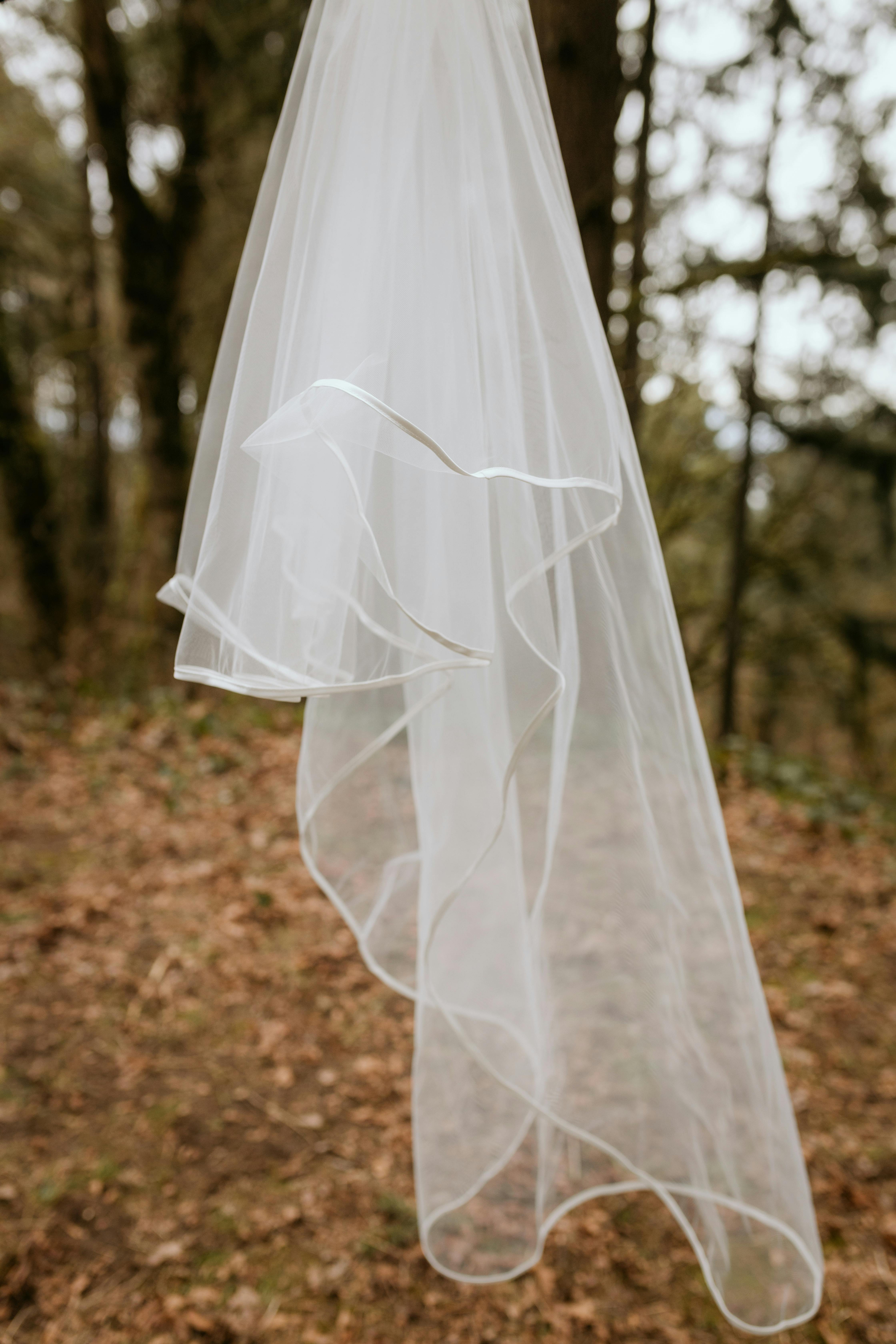 White Veil in the Woods · Free Stock Photo