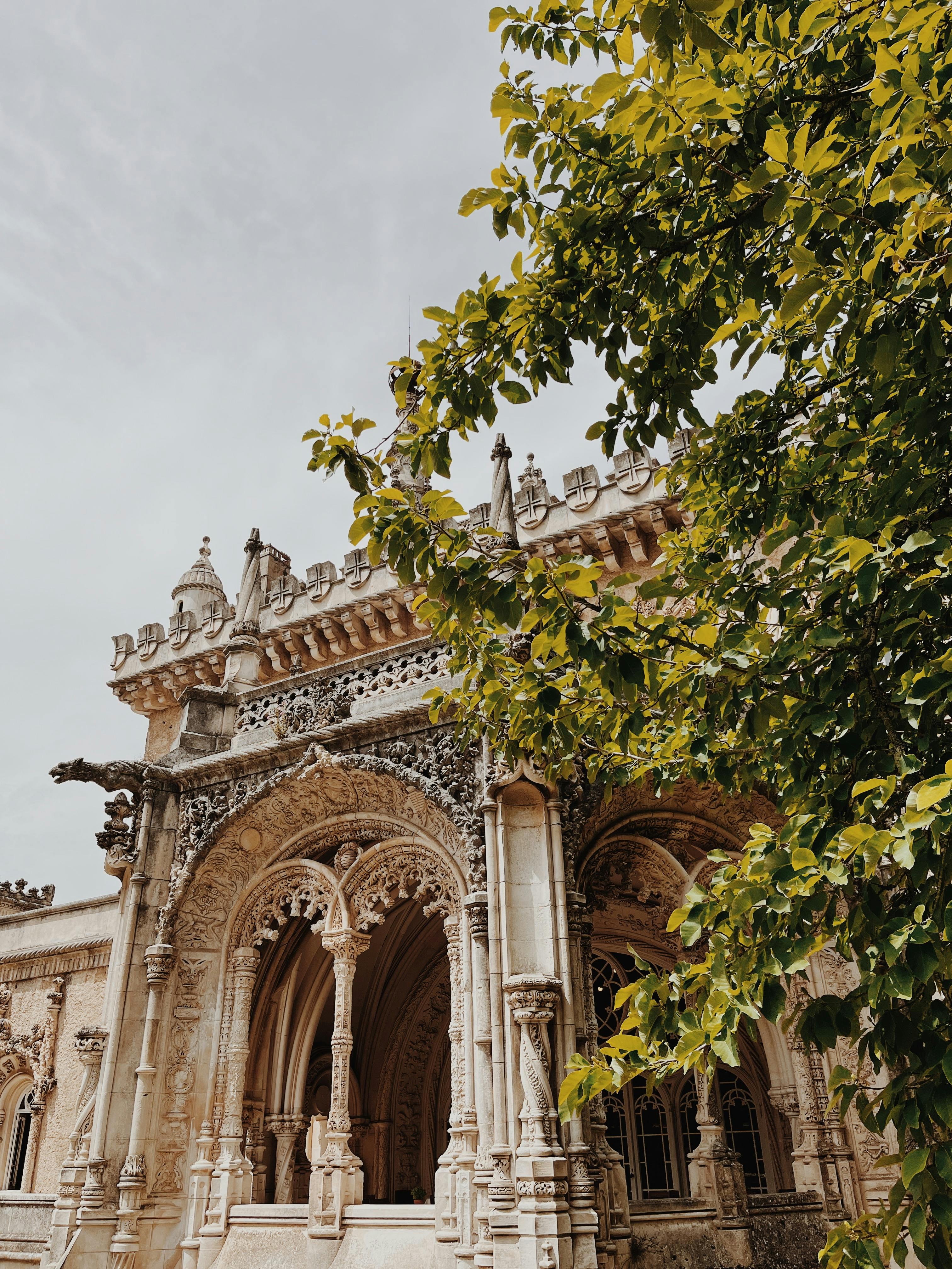 Decorative Palace, and a Tree · Free Stock Photo