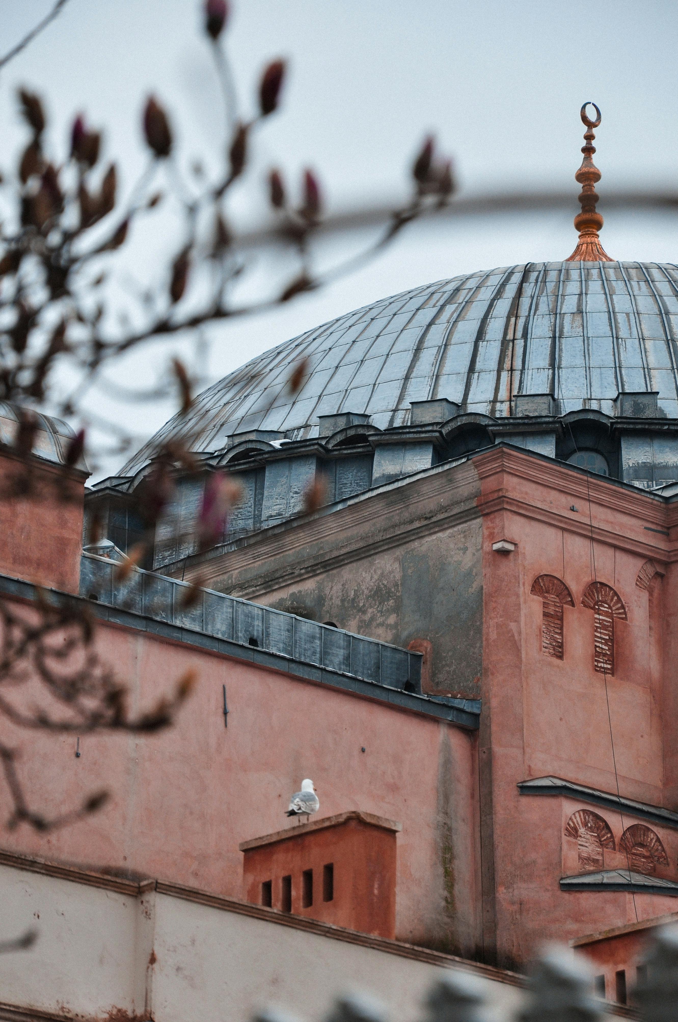 Dome of Mosque · Free Stock Photo