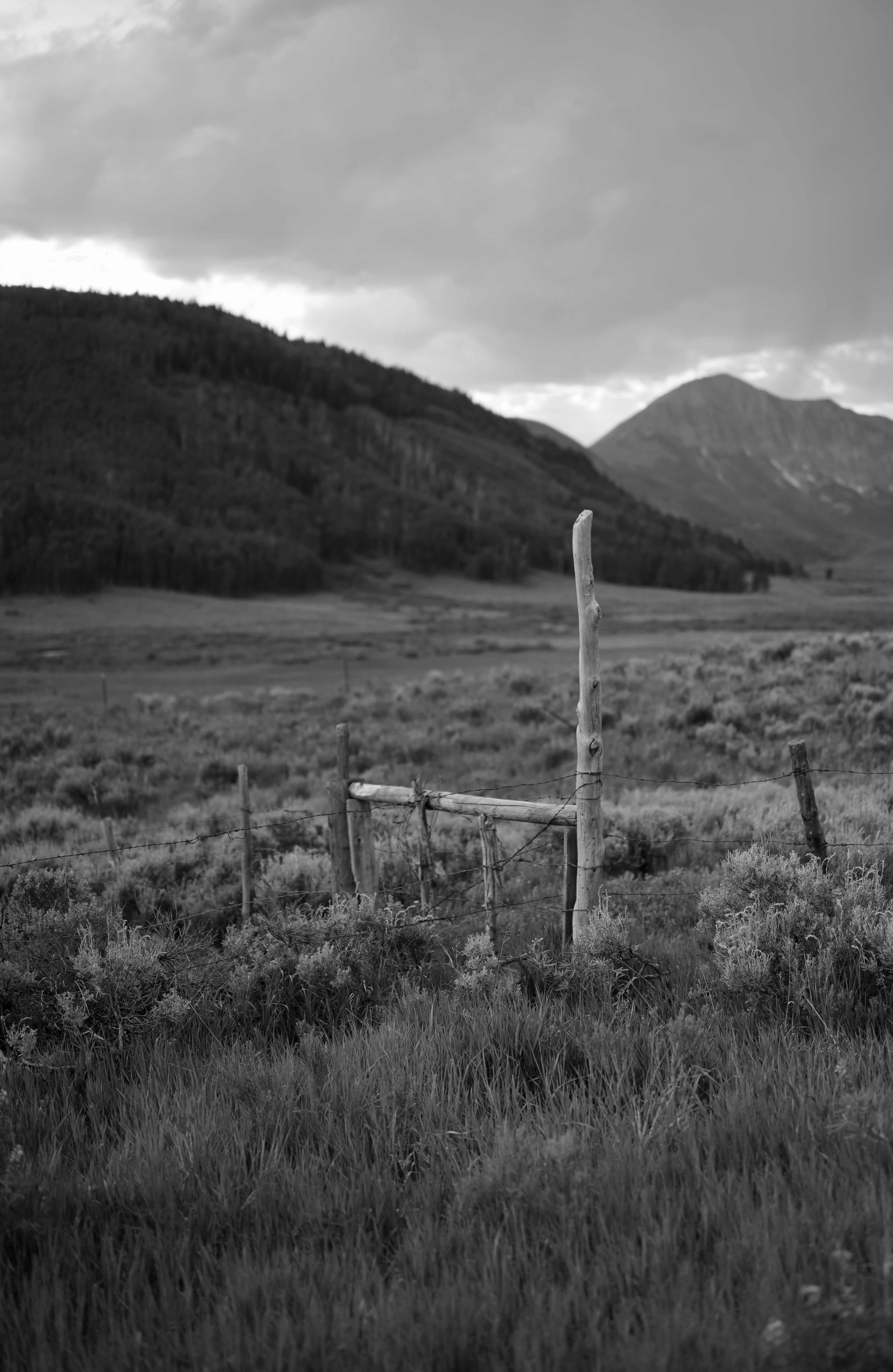 A Grayscale Photo of Grass Field Near the Mountain · Free Stock Photo