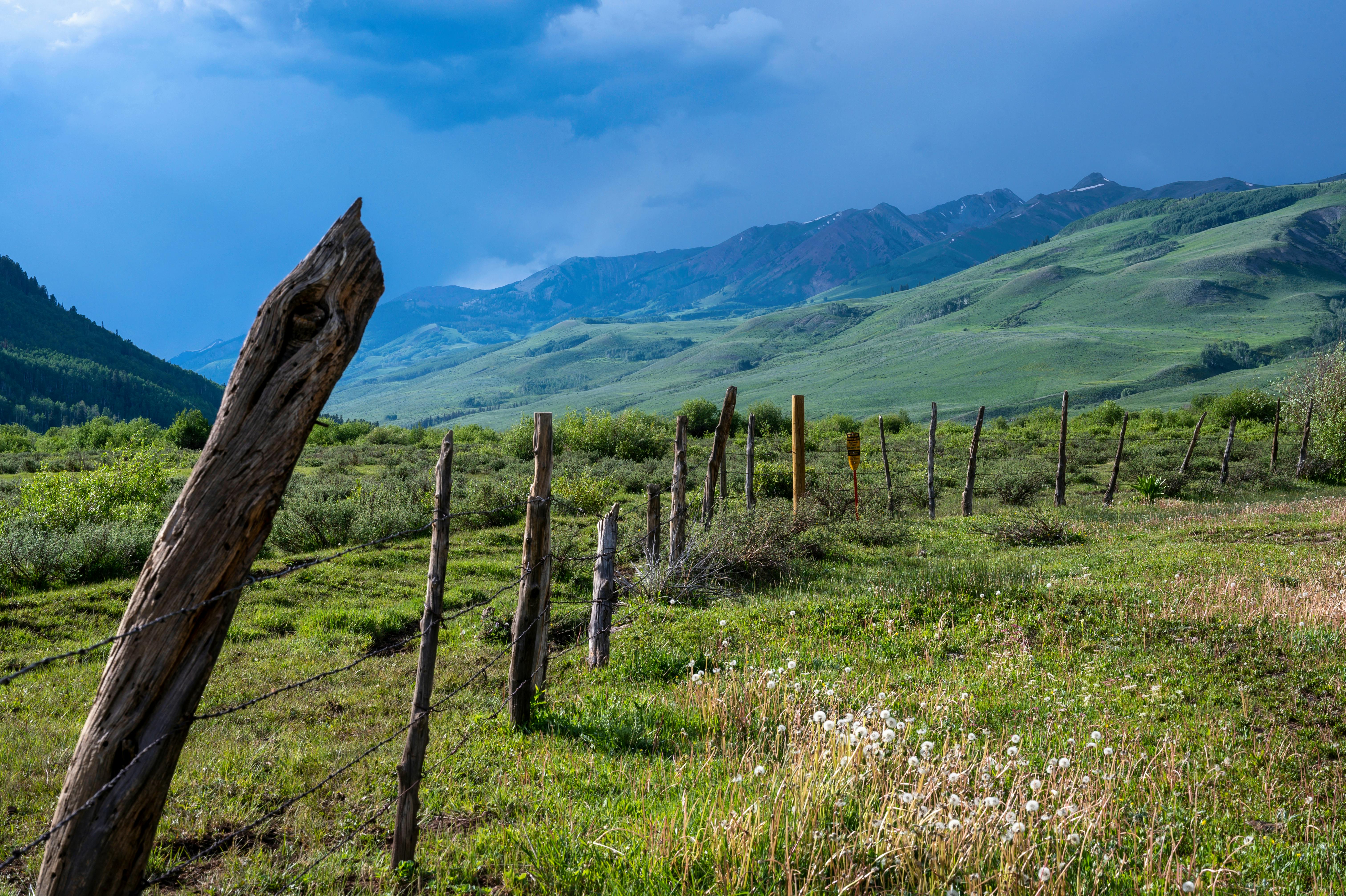 Wooden Post with Barbed Wires · Free Stock Photo