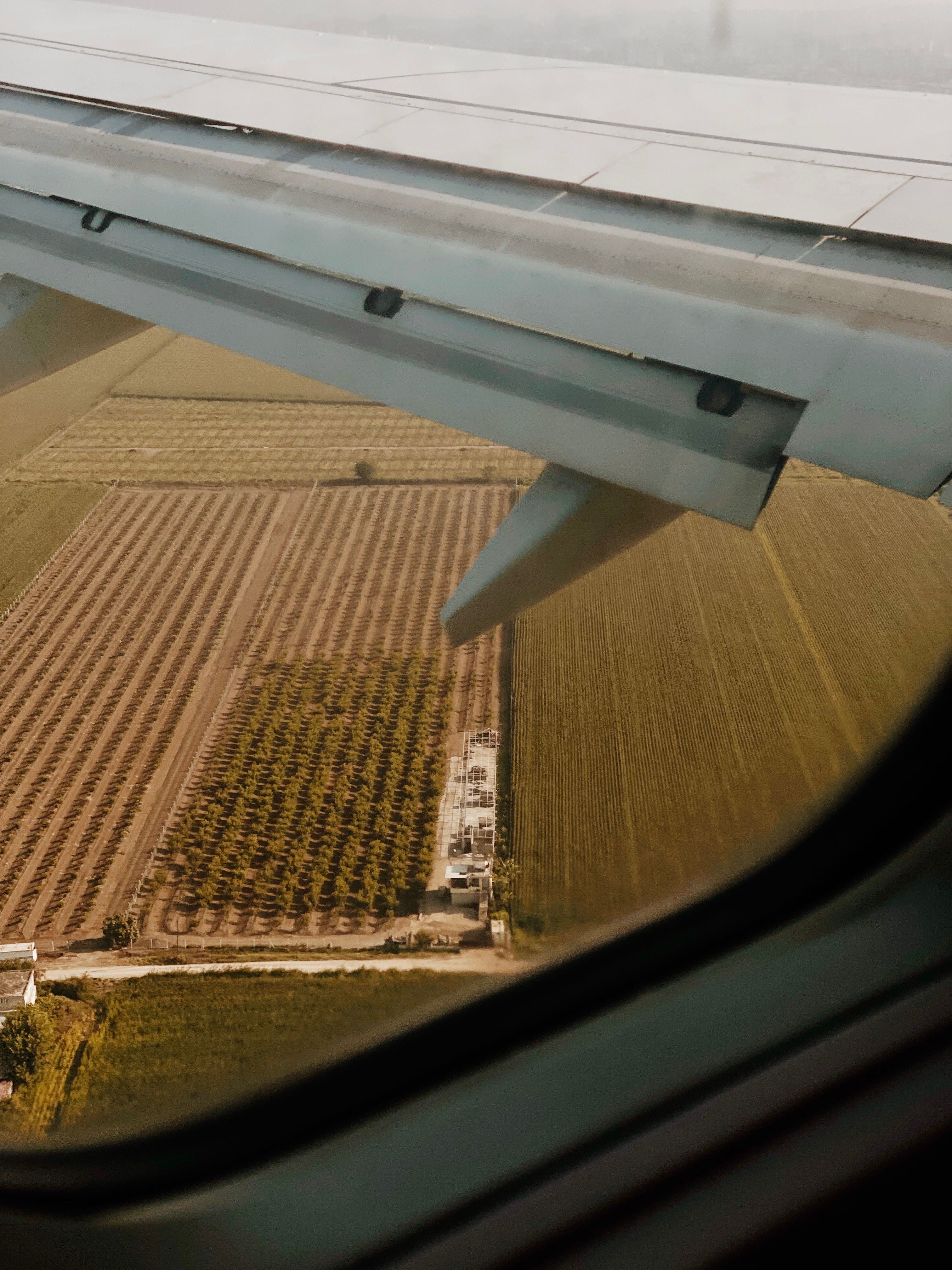 An Airplane View of Grass Field · Free Stock Photo