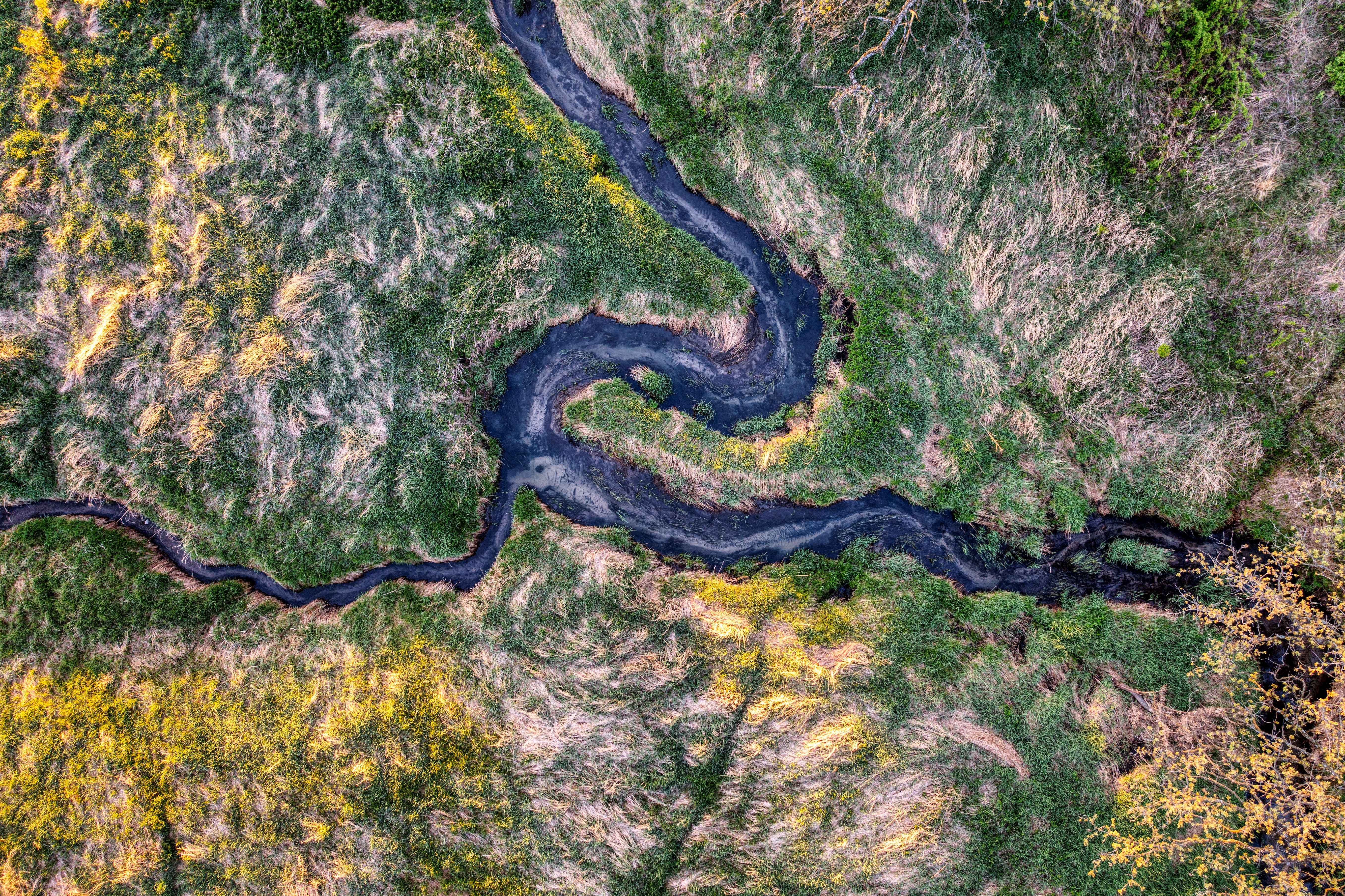 Aerial Photography of River · Free Stock Photo