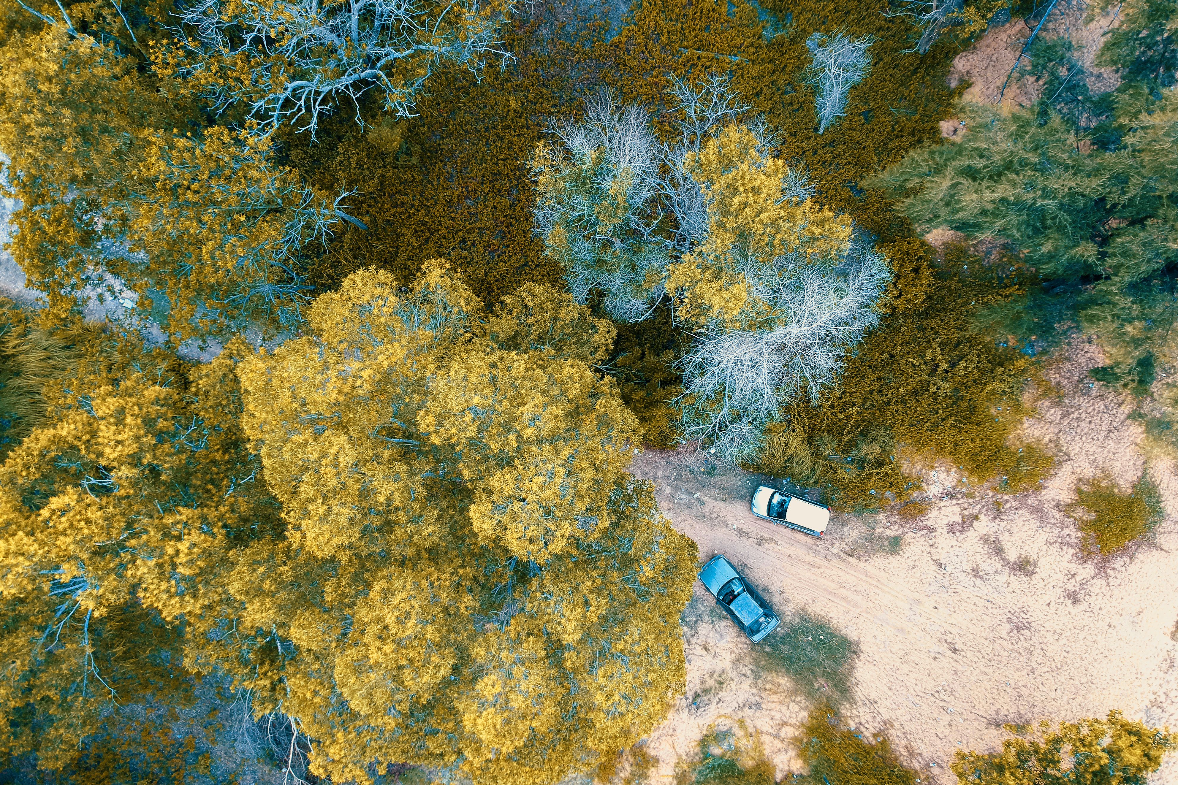 Aerial View Photography of Two Cars Surrounded by Trees · Free Stock Photo