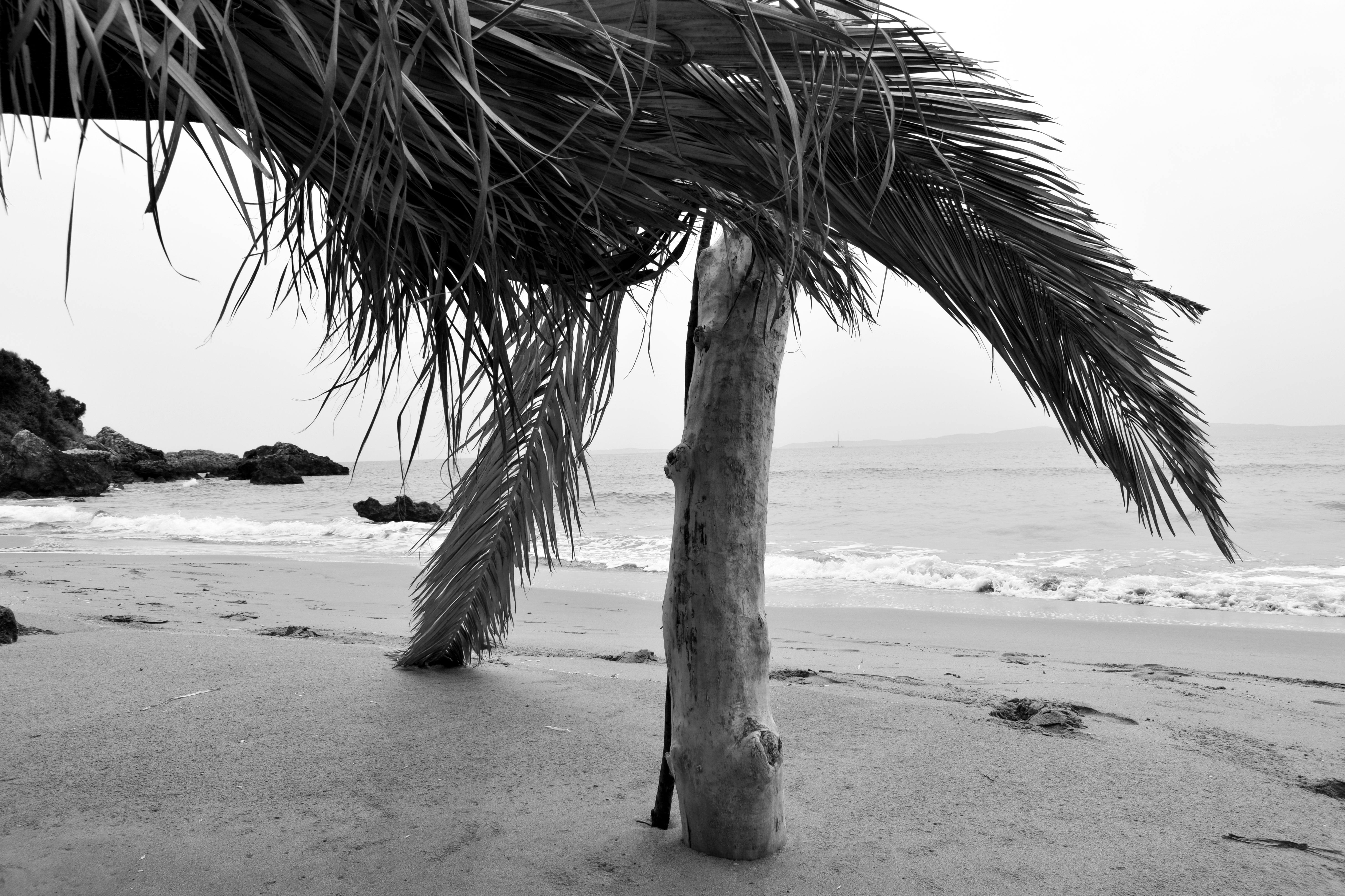 Beach in Grayscale Photo · Free Stock Photo