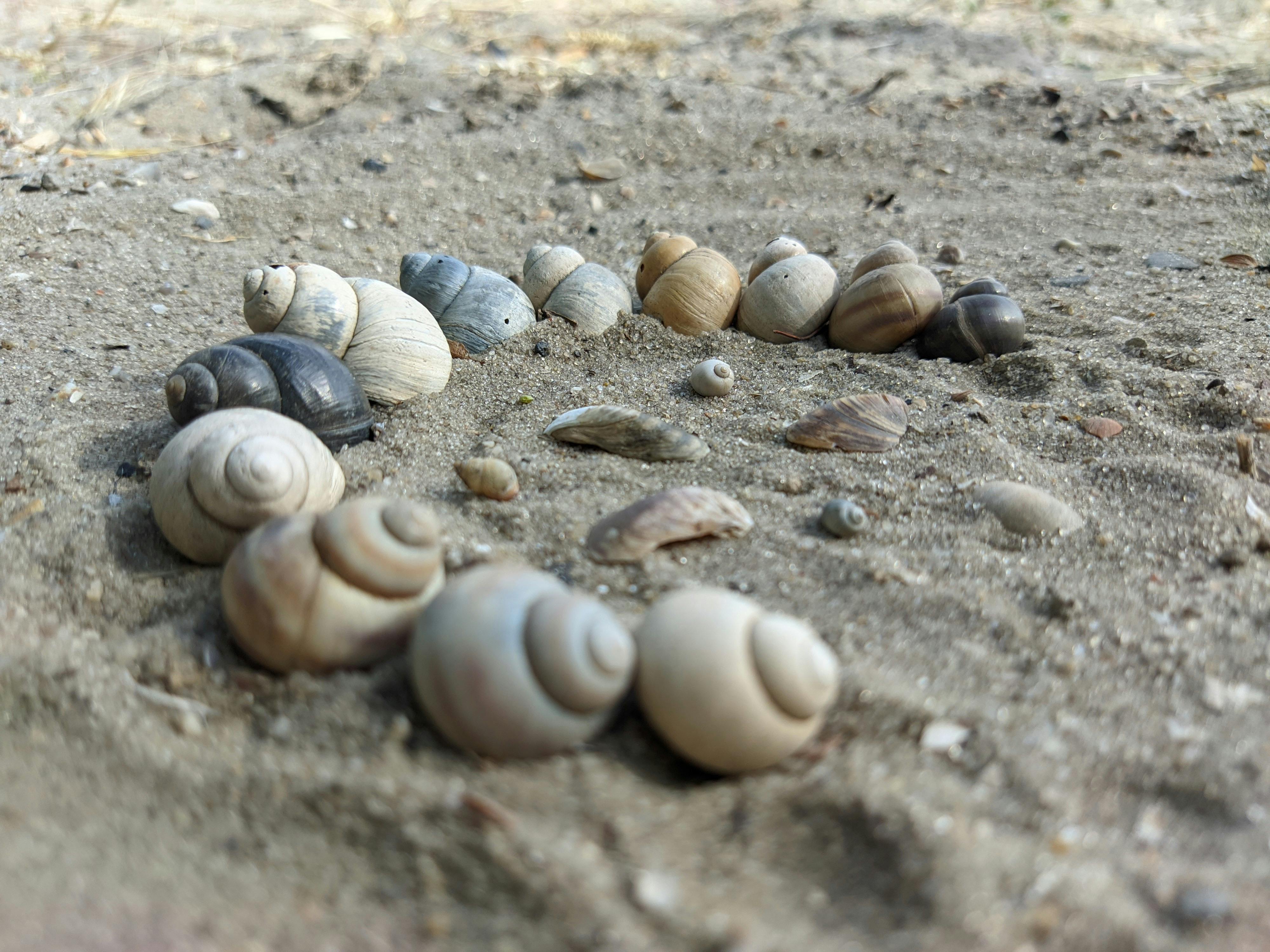 Ally Ross - Photography