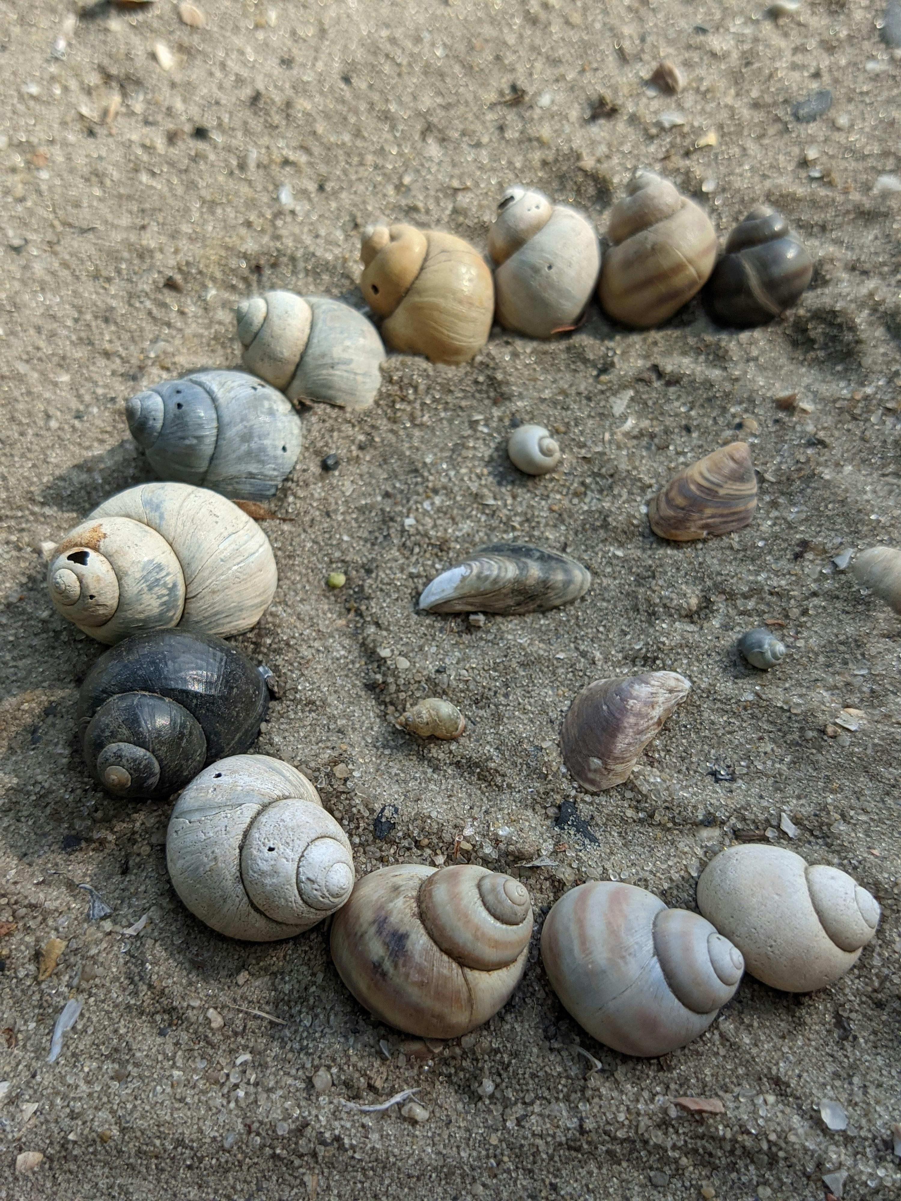 Ally Ross - Photography