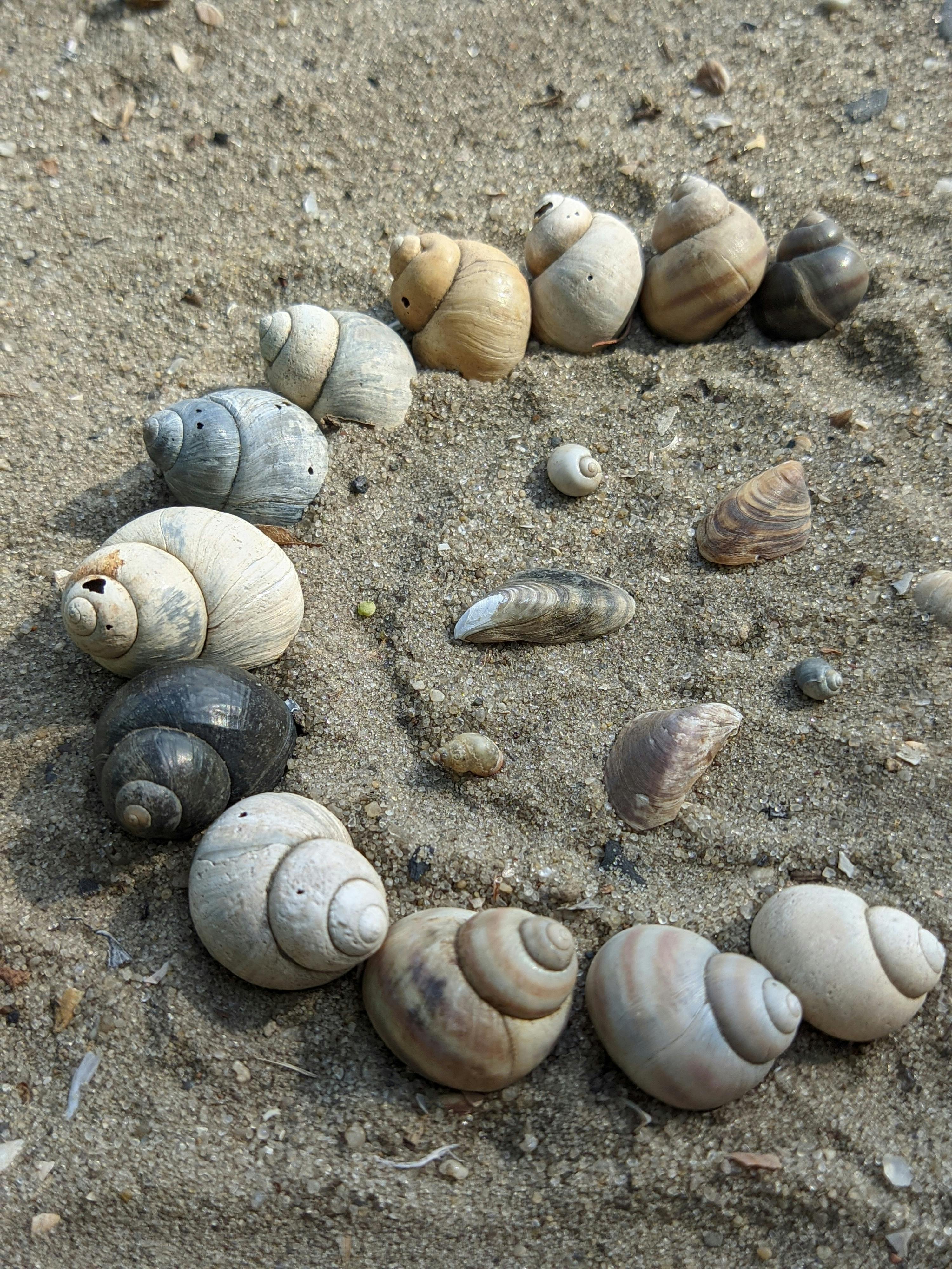 Ally Ross - Photography