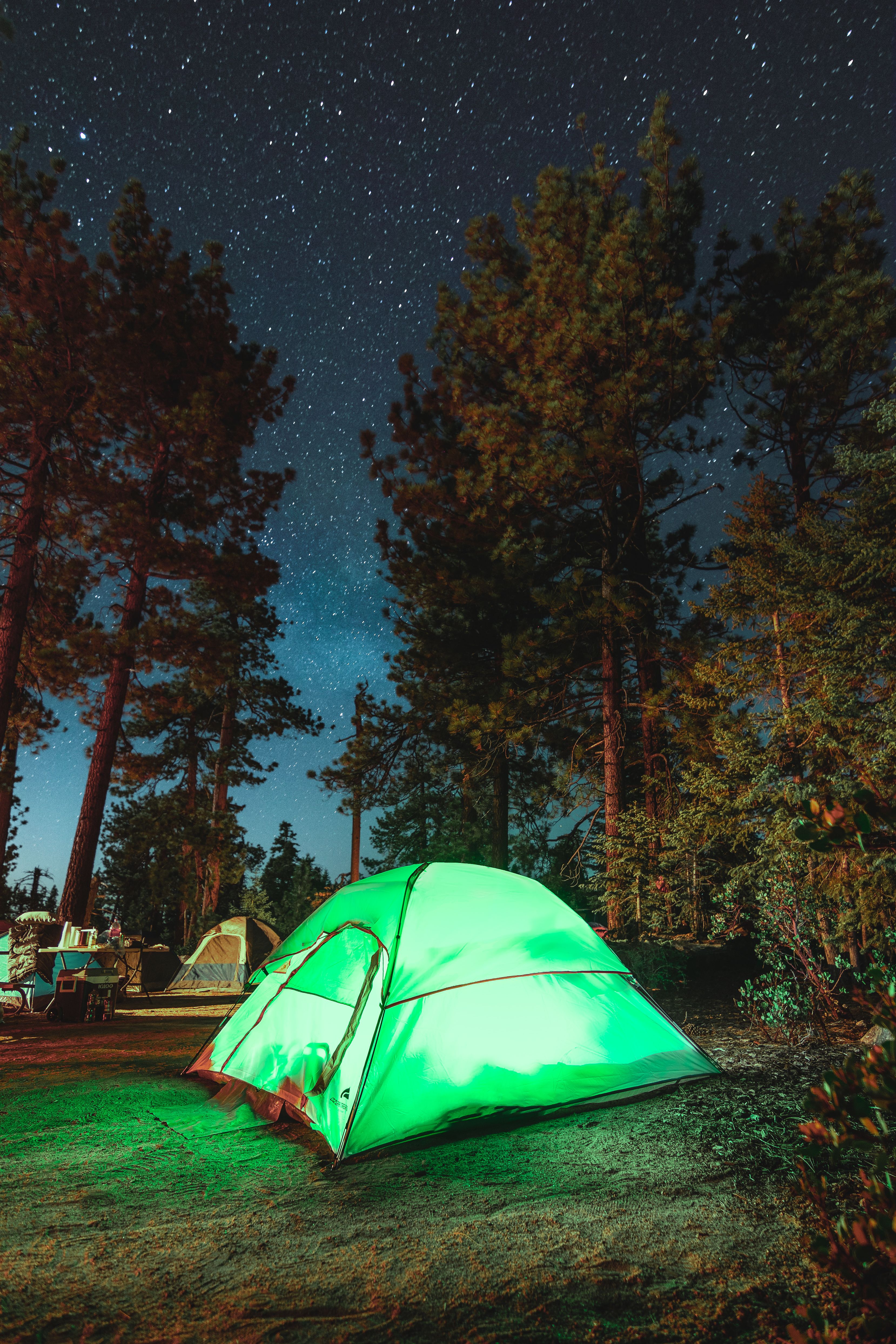 Green Tent Beside Green Trees · Free Stock Photo
