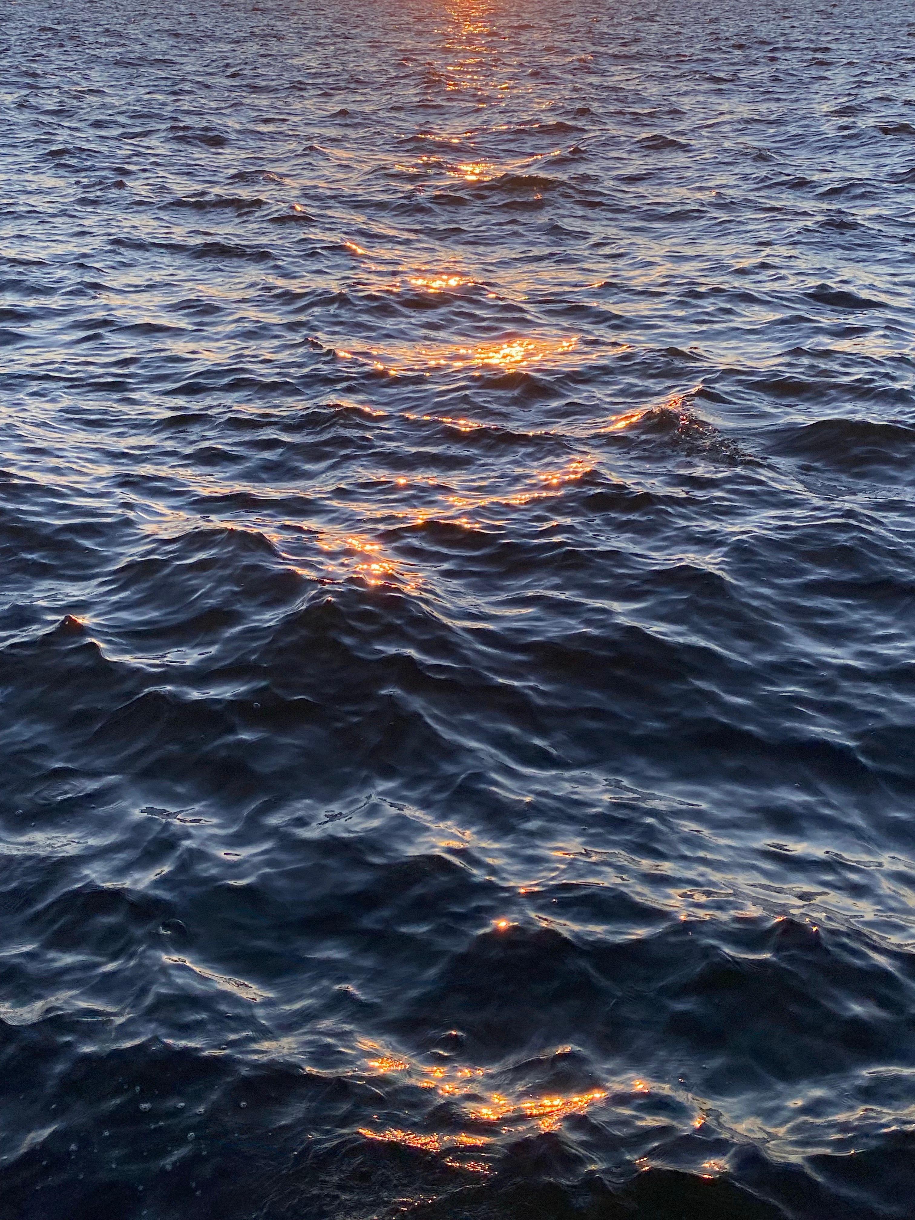 Sunlight Reflecting in Sea Waves · Free Stock Photo