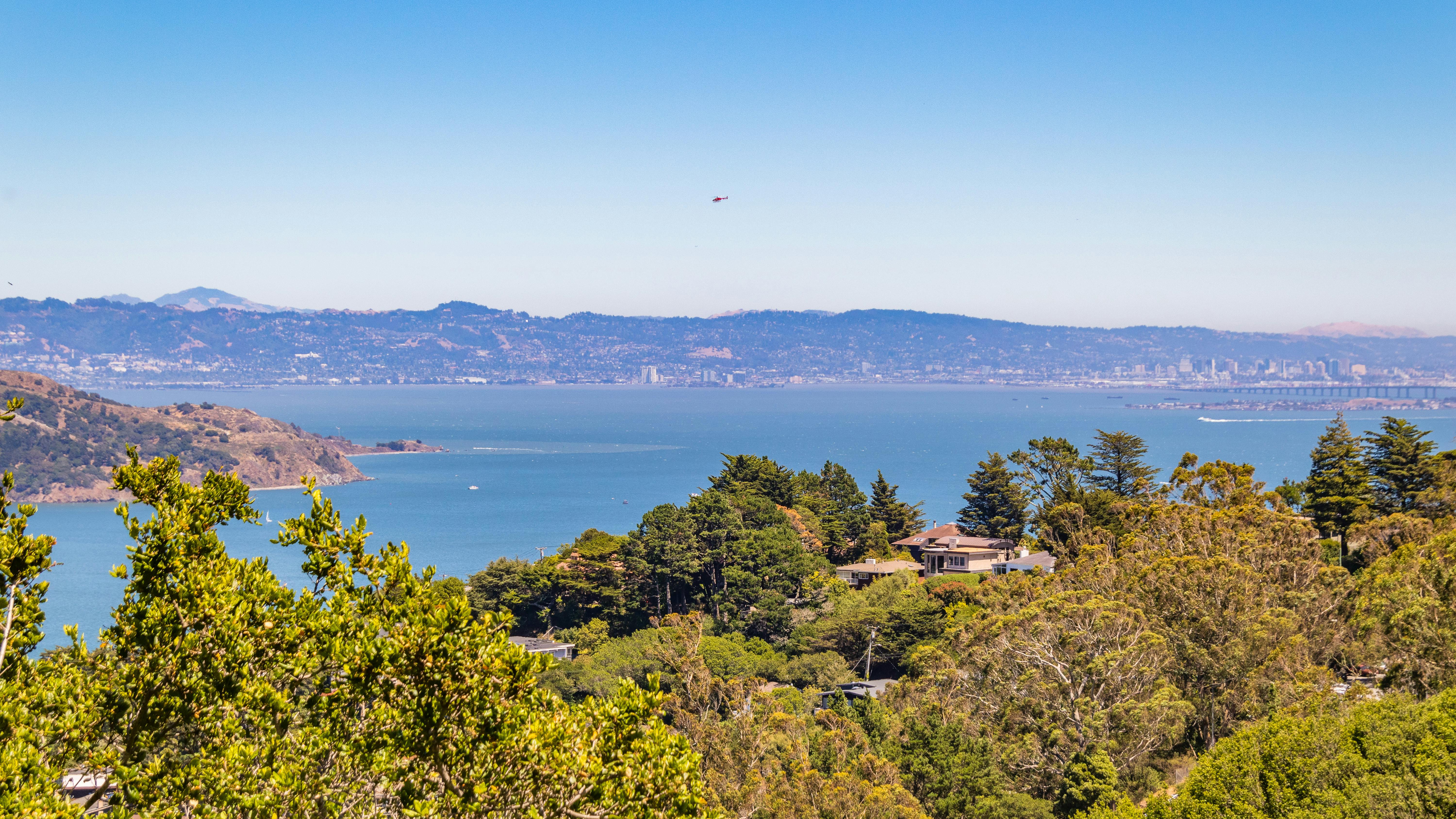 Aerial Photo of Forest and Sea Bay Landscape · Free Stock Photo