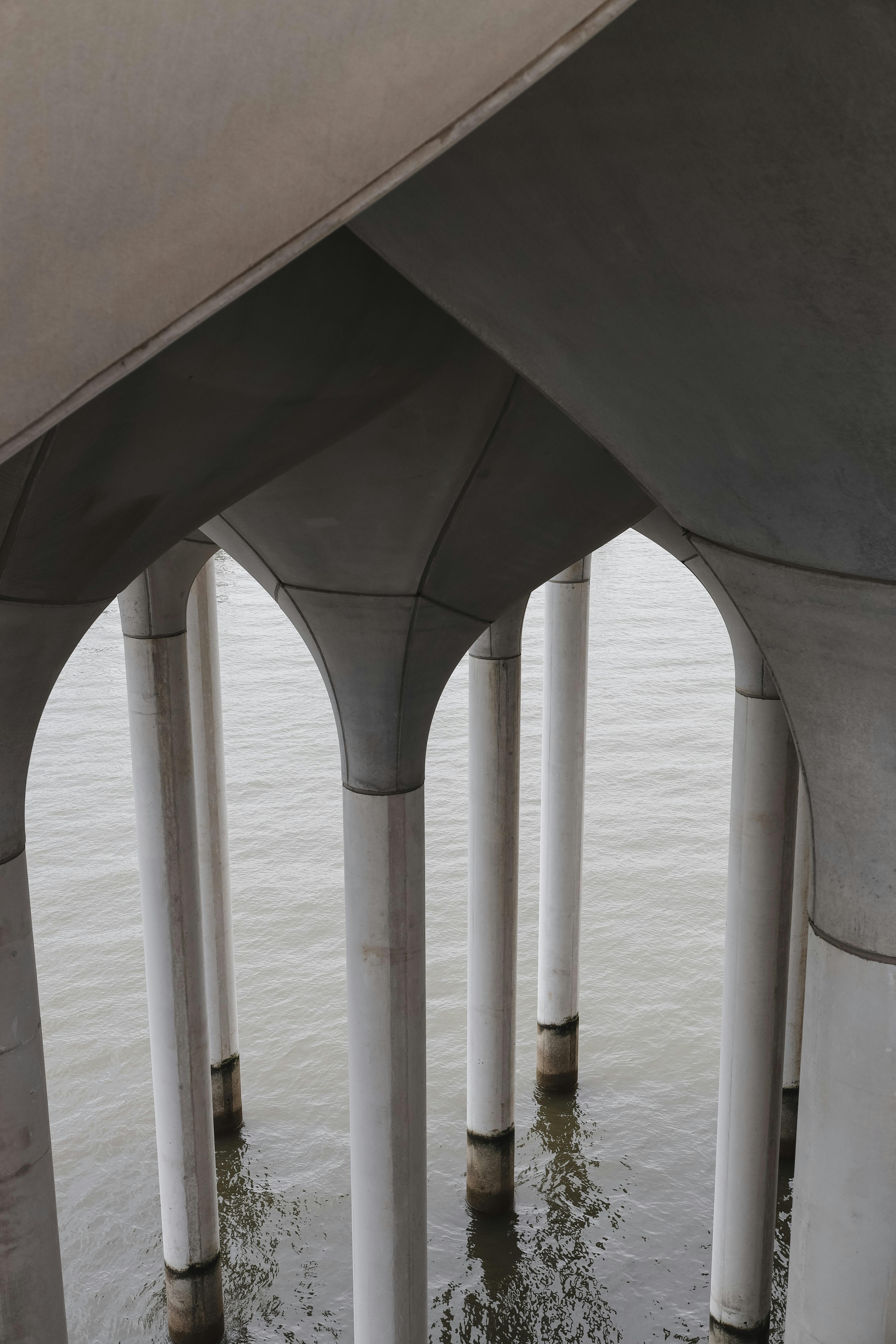 Pillars of a Bridge · Free Stock Photo