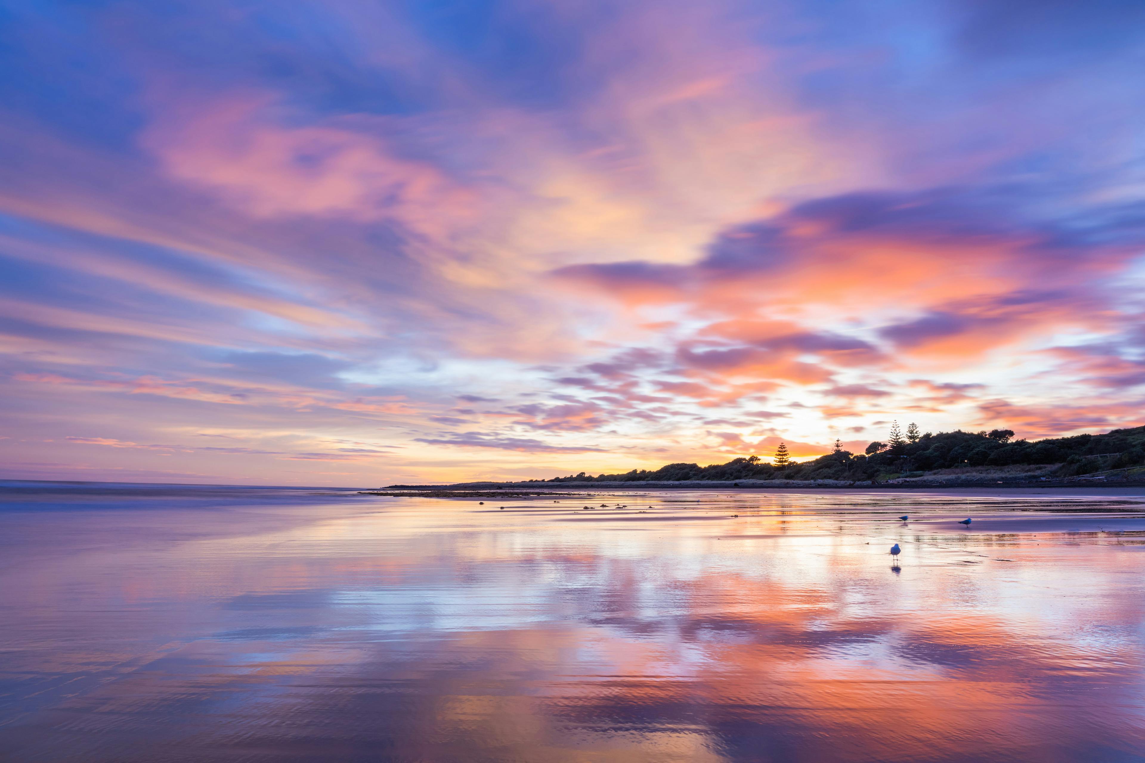 Golden Hour · Free Stock Photo