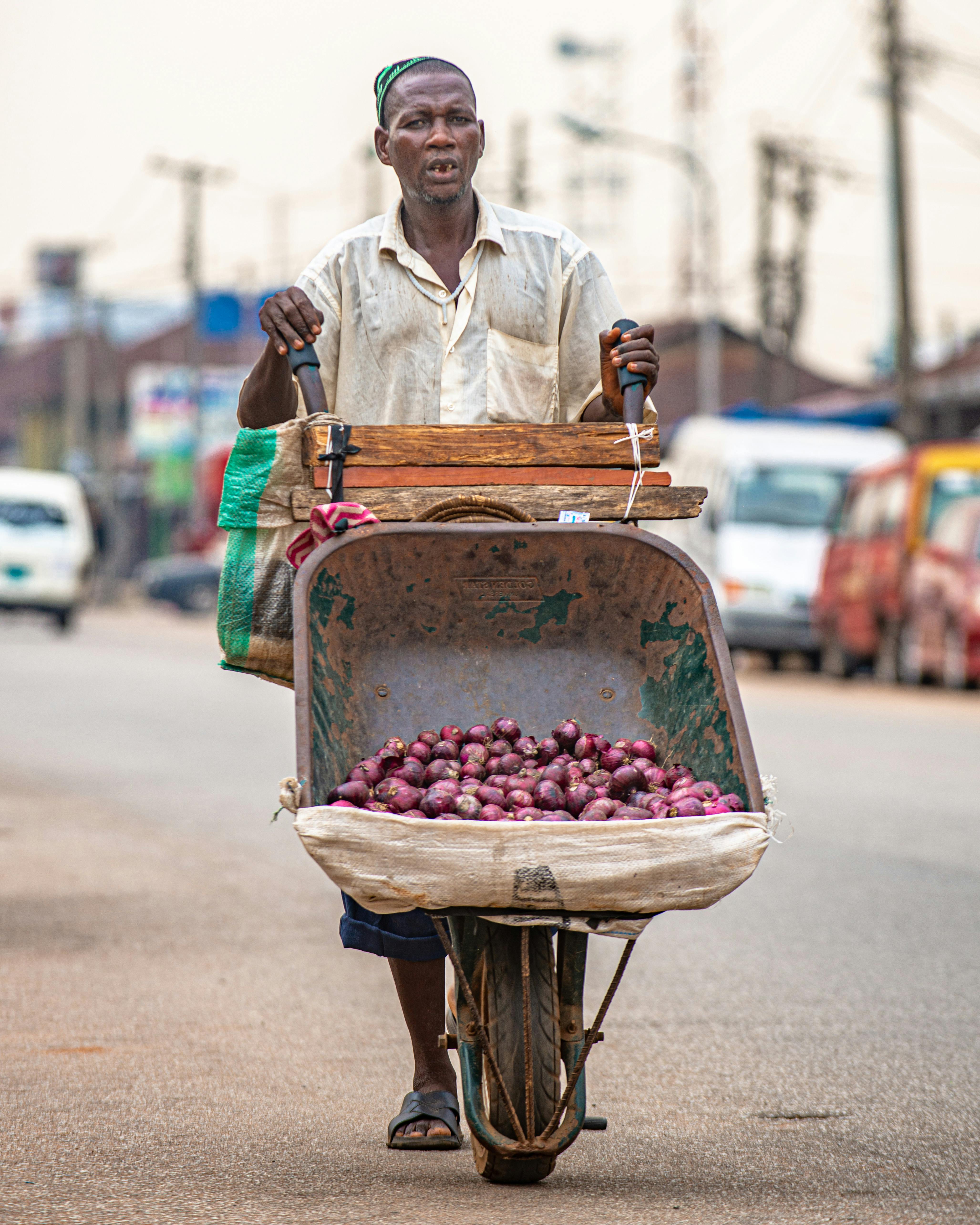 150+ Best Free Wheelbarrow Stock Photos & Images · 100% Royalty-Free HD ...