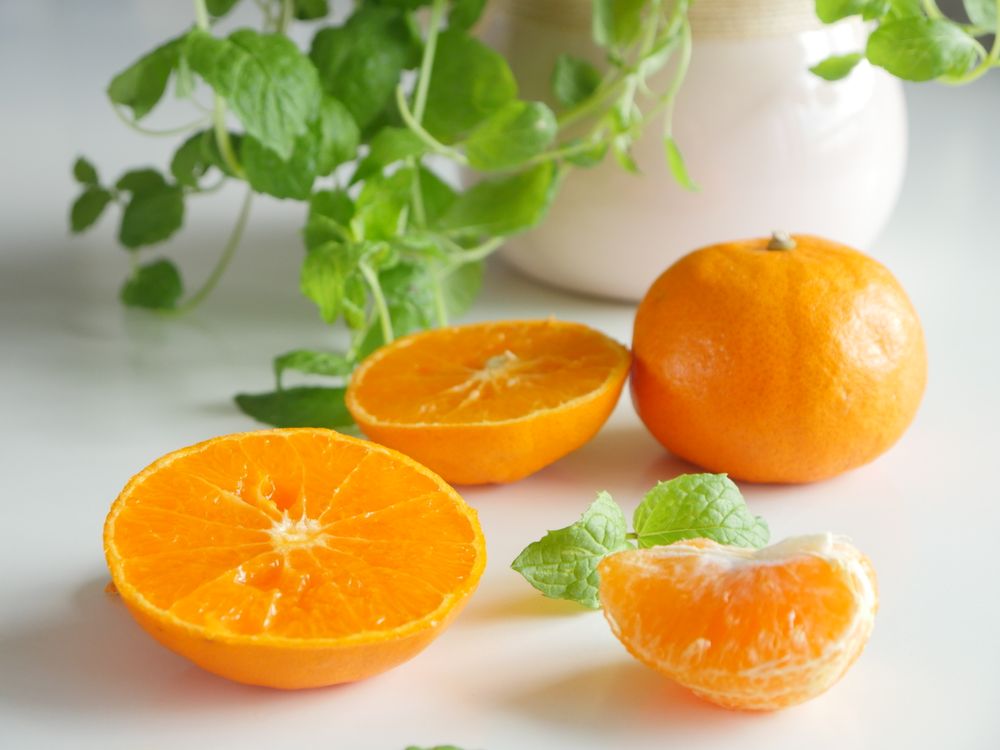 Close Up Shot Of Fresh Orange Fruits On White Surface Free Stock Photo close-up-shot-of-fresh-orange-fruits-on-white-surface-free-stock-photo
