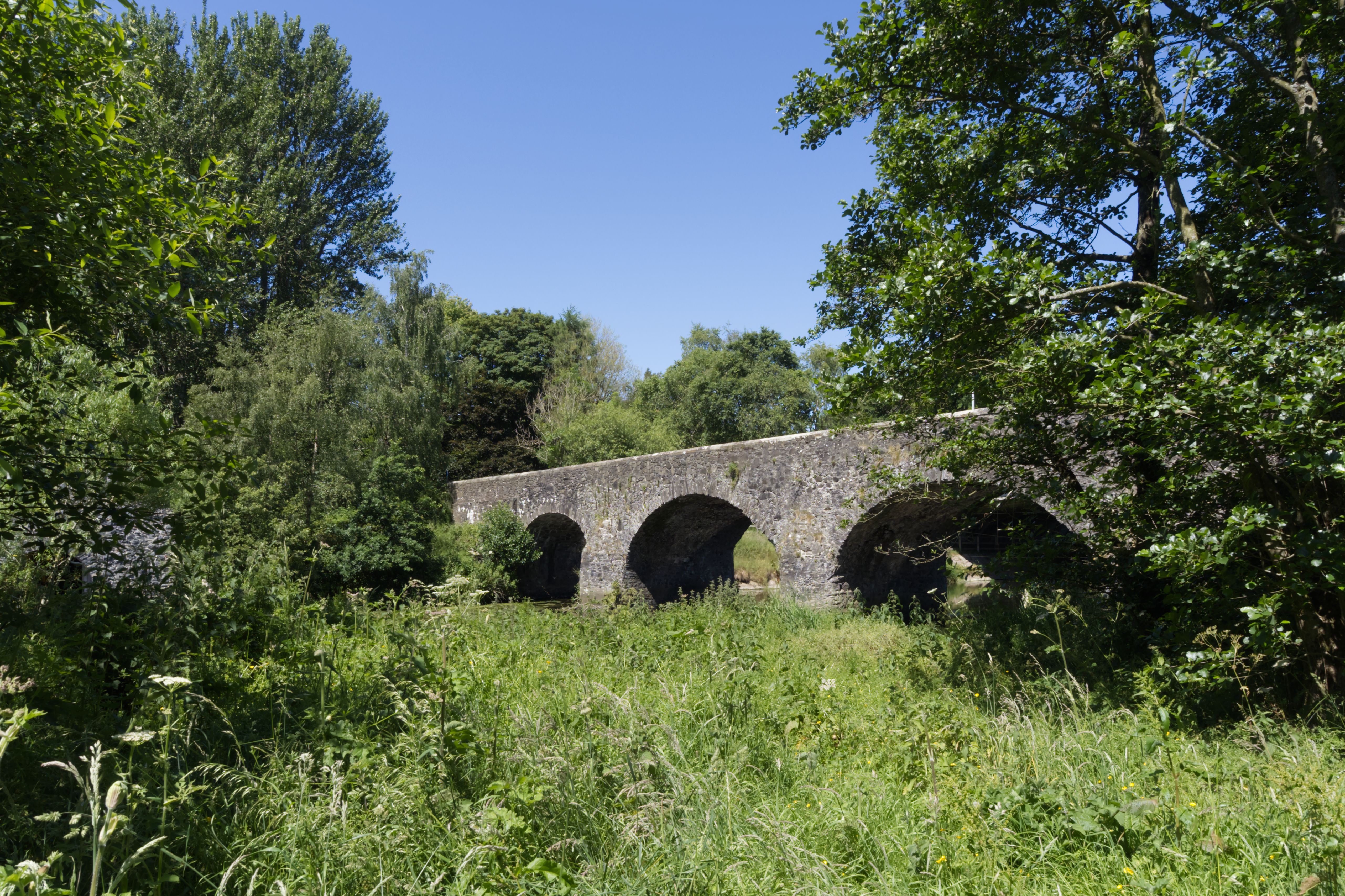 Stone Arch Bridge Surrounded by Green Flora in Summer · Free Stock Photo