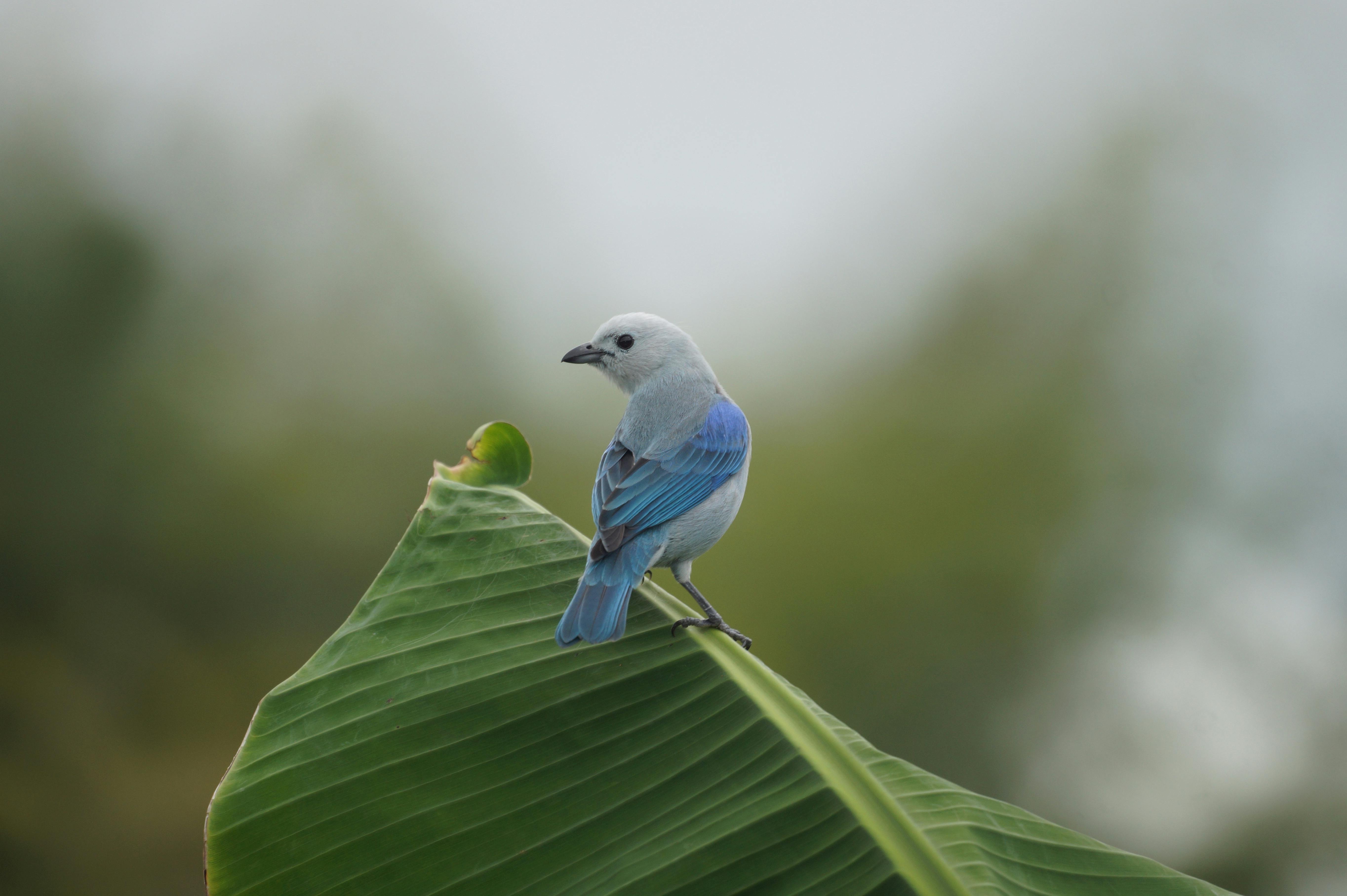 97+ Best Free Monsoon Stock Photos & Images · 100% Royalty-Free HD ...