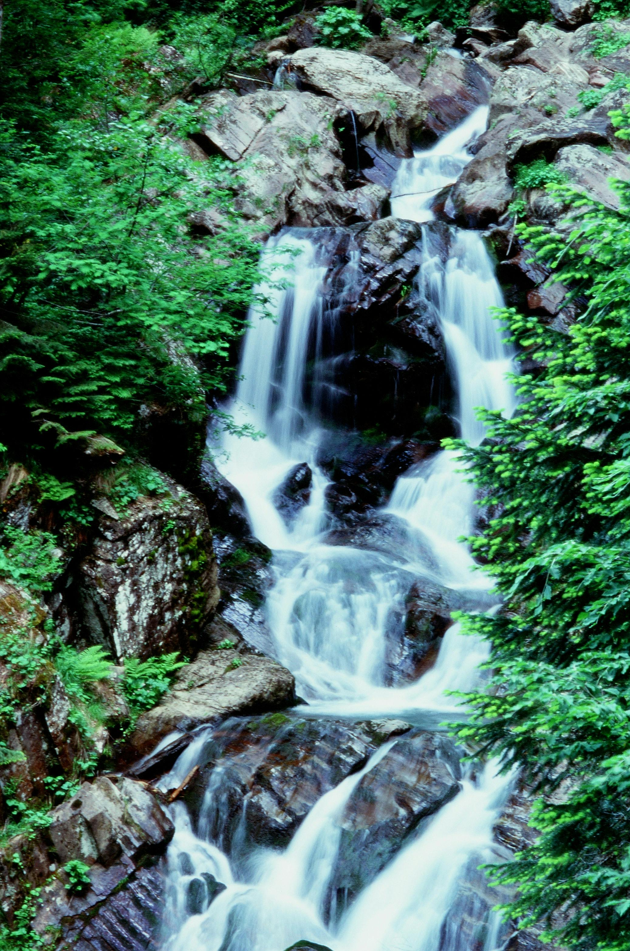 Foto de stock gratuita sobre agua, agua dulce, al aire libre, armonioso ...