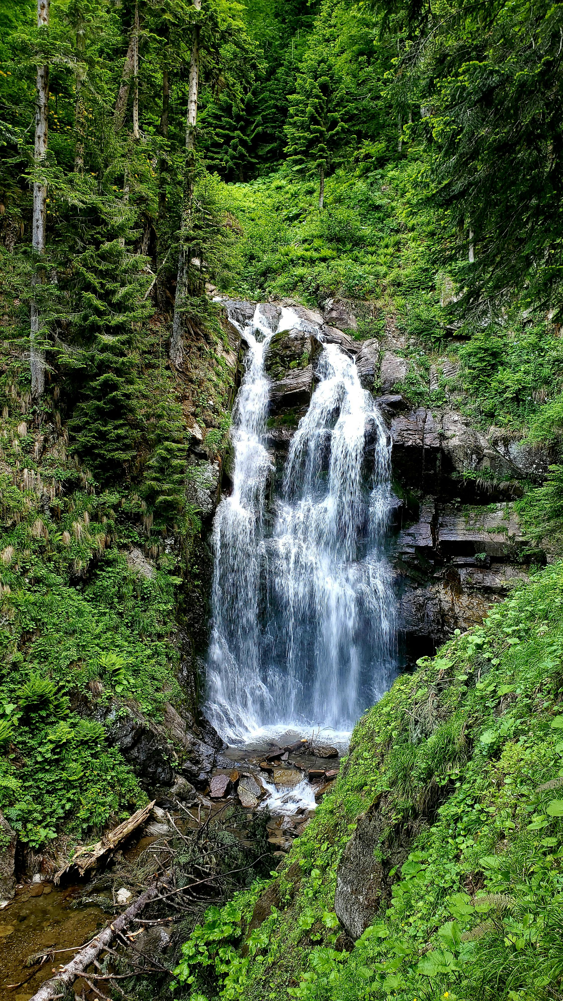 Cascading Waterfalls from a Rocky Cliff · Free Stock Photo