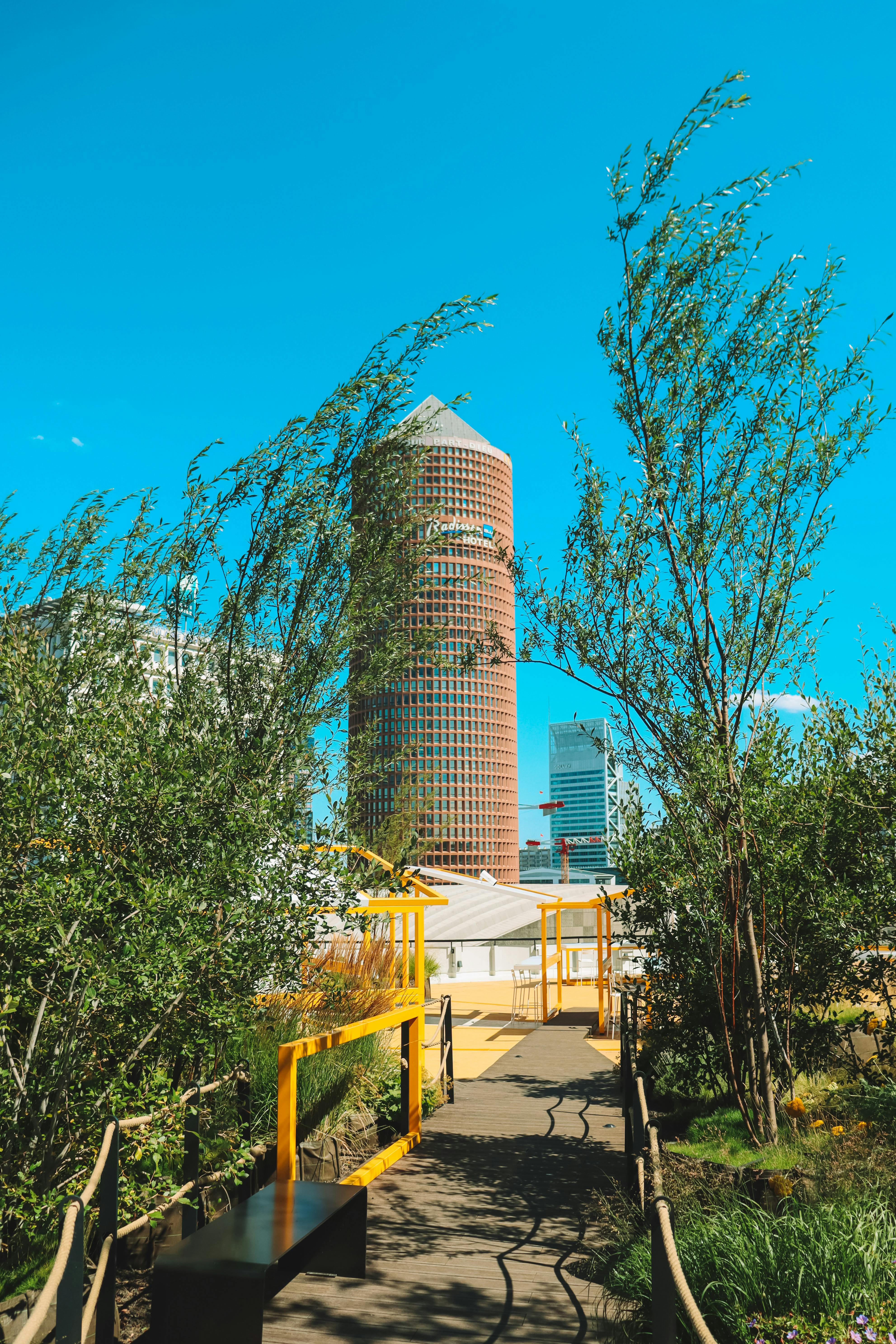 A Paved Walkway in a Garden · Free Stock Photo