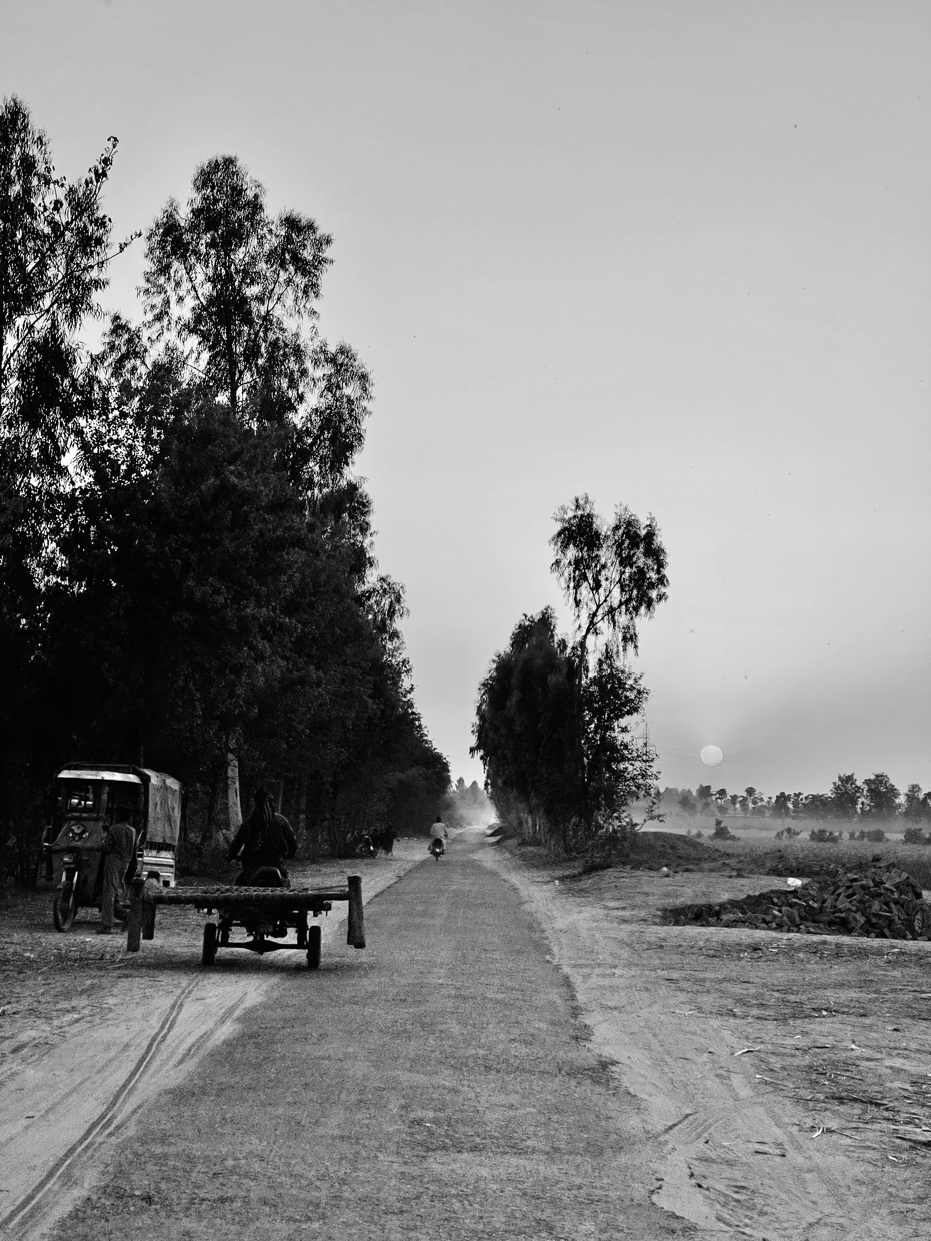 Grayscale Photo of Dirt Road · Free Stock Photo