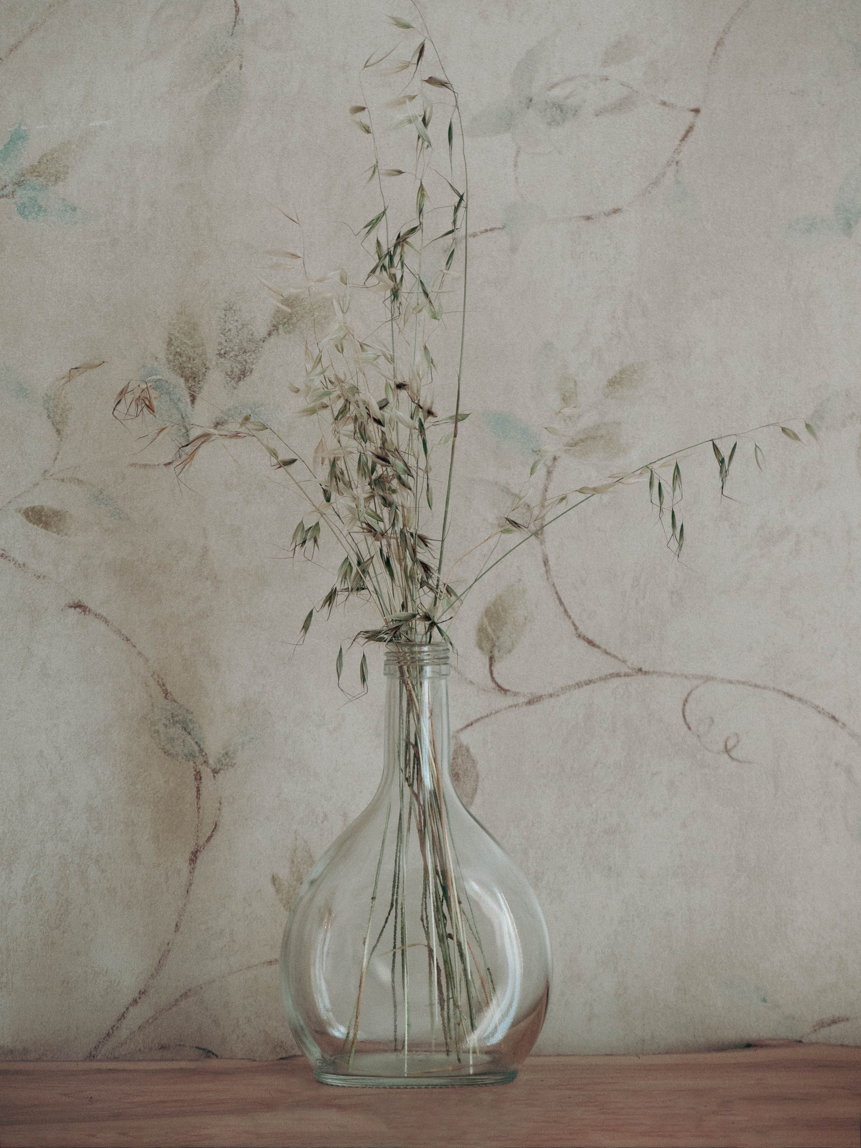 Green Plant in Glass Vase · Free Stock Photo
