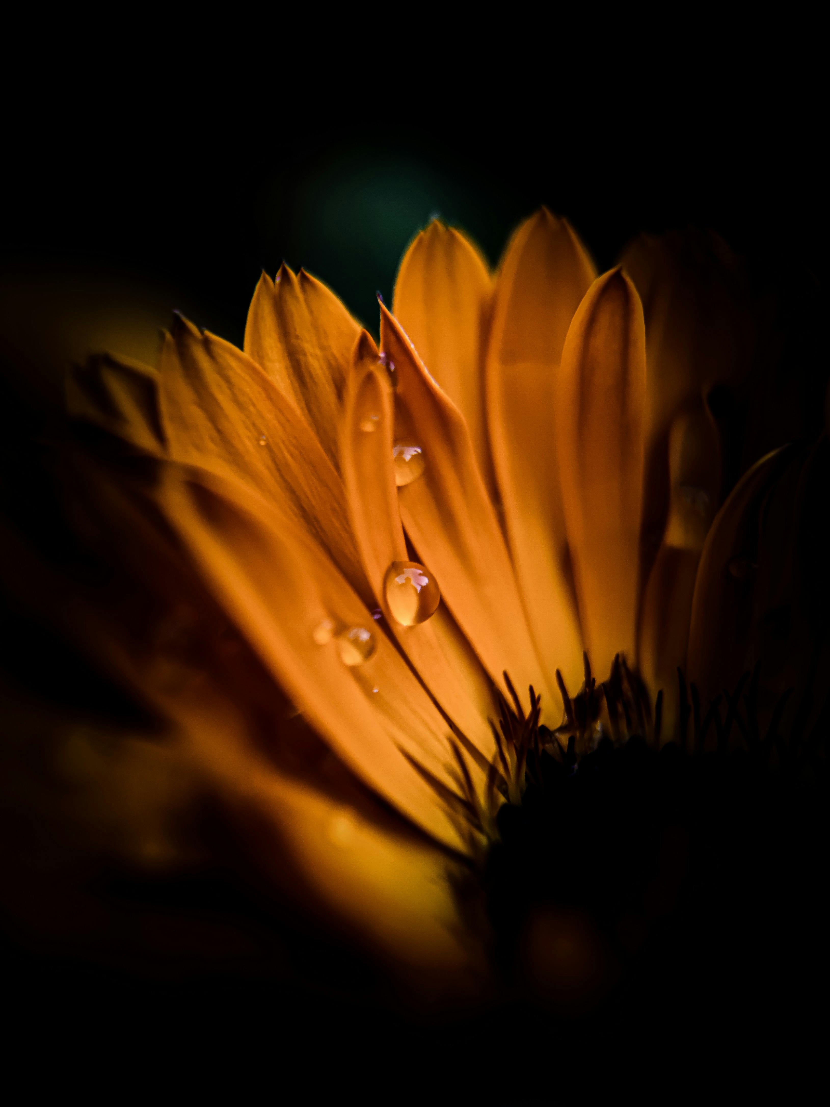 Abstract Photogrphy Photos, Download The BEST Free Abstract Photogrphy ...