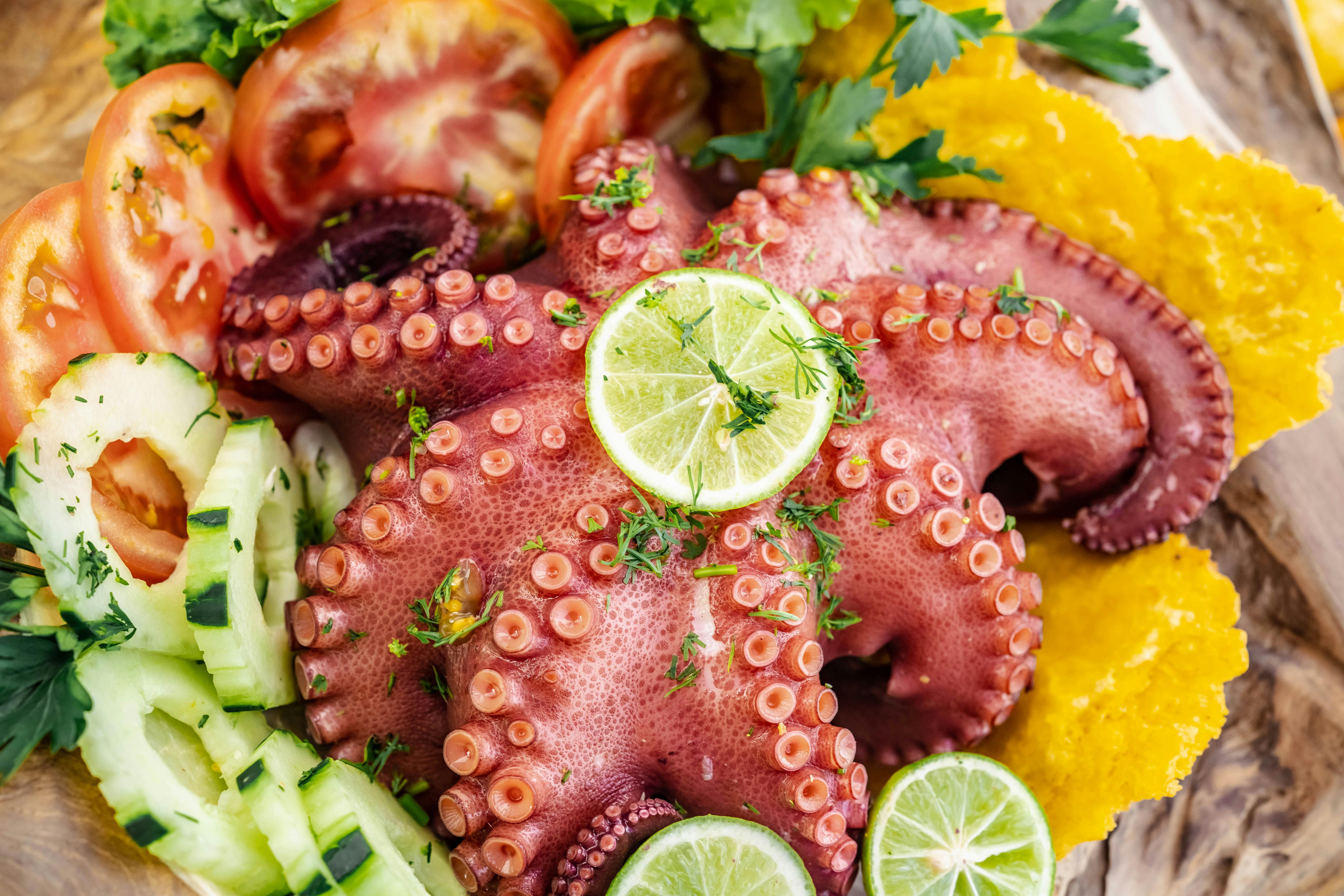 Steam Octopus with Sliced Lemons on Top · Free Stock Photo