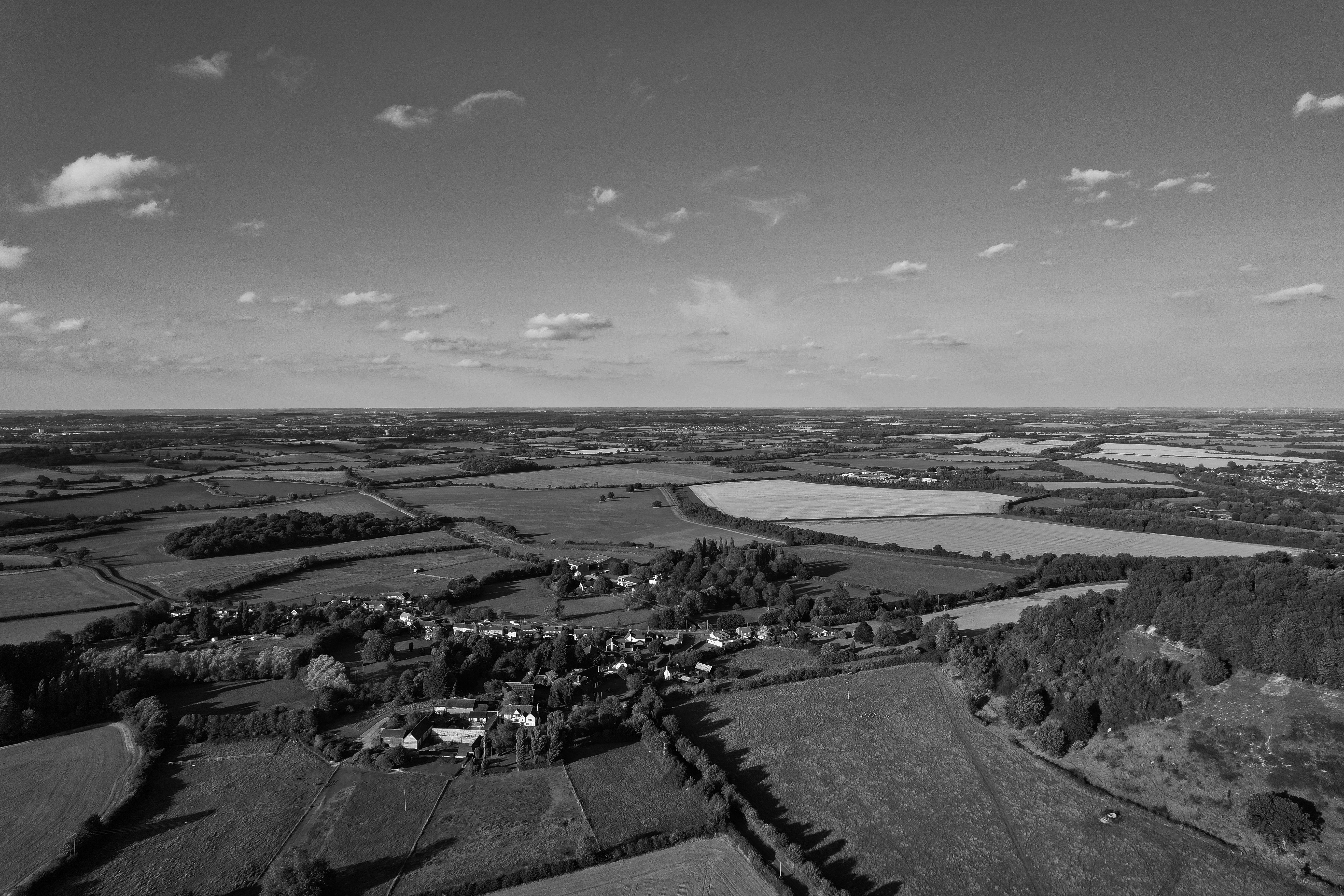 Rural Landscape in Black and White · Free Stock Photo