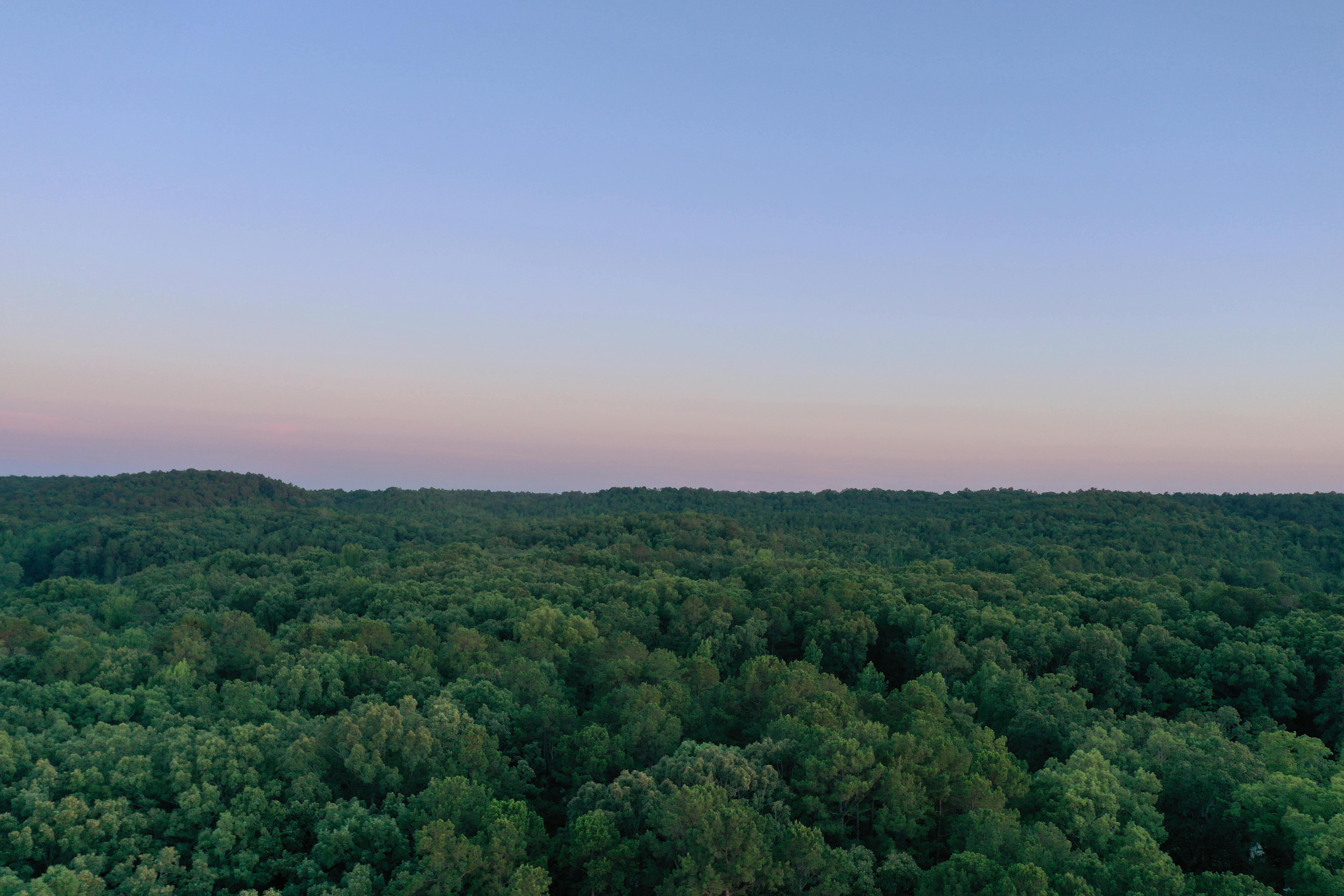 Raeden Greer - 摄影