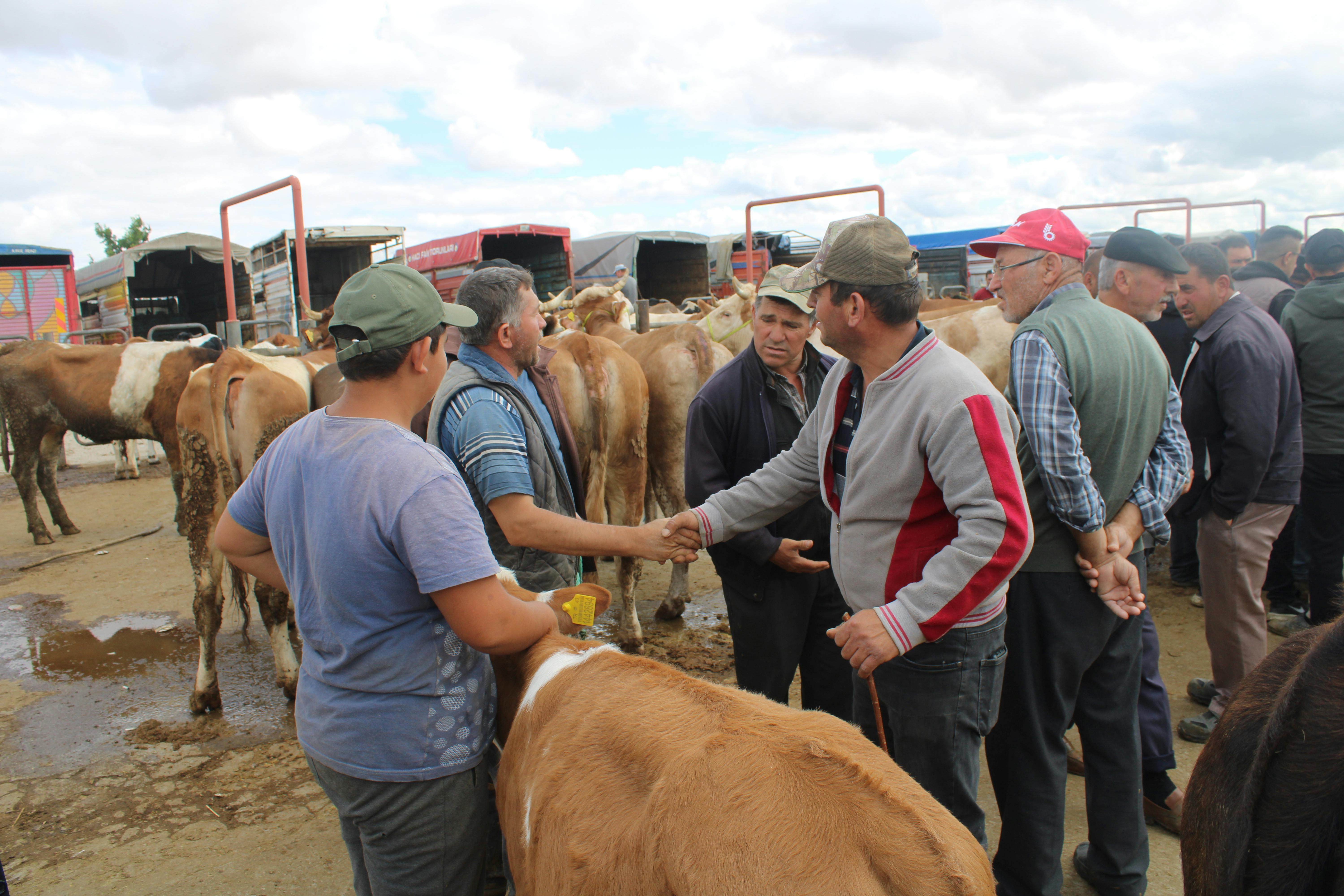 Handshake With Animals Photos, Download The BEST Free Handshake With ...