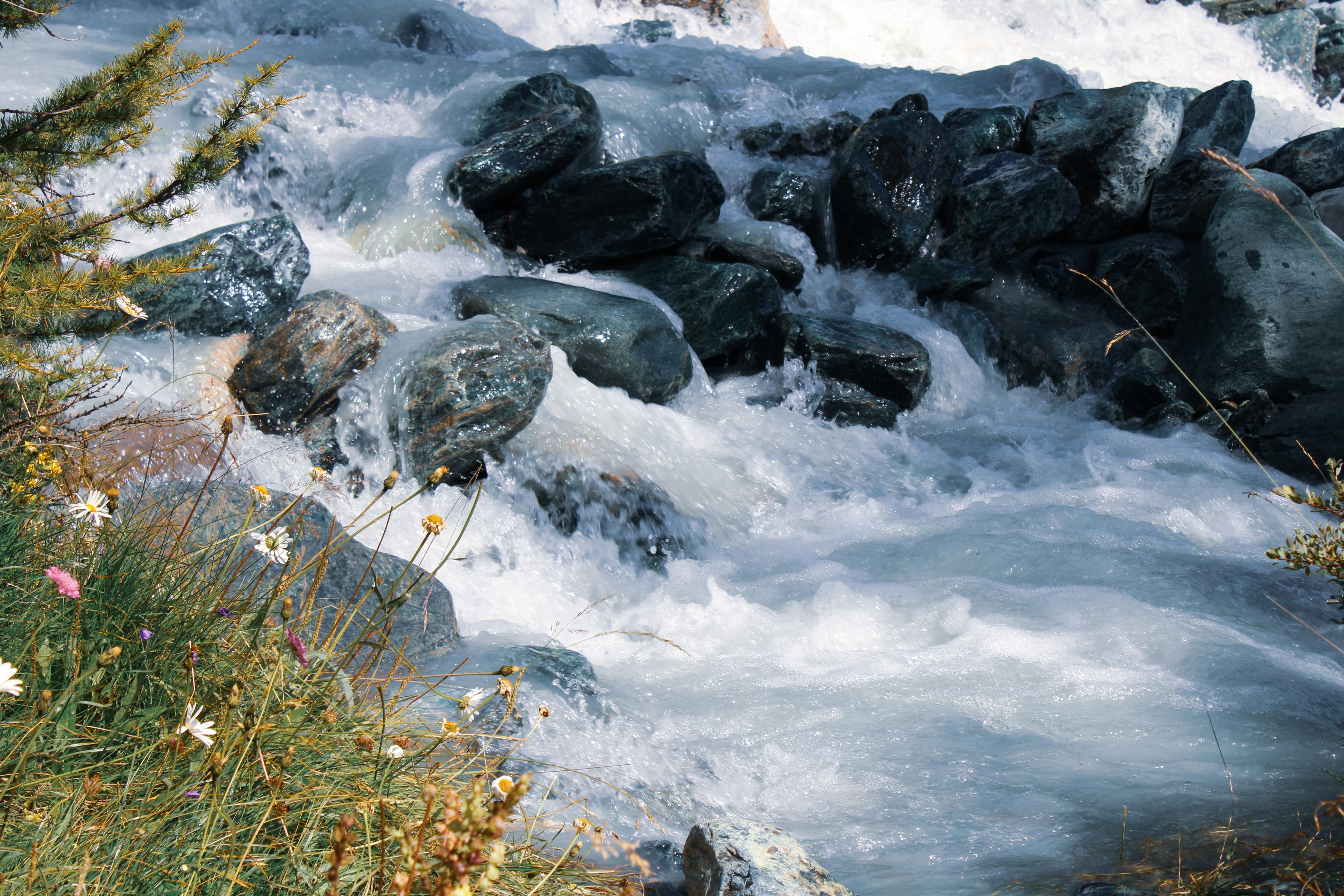 Water Flowing on Rocks · Free Stock Photo