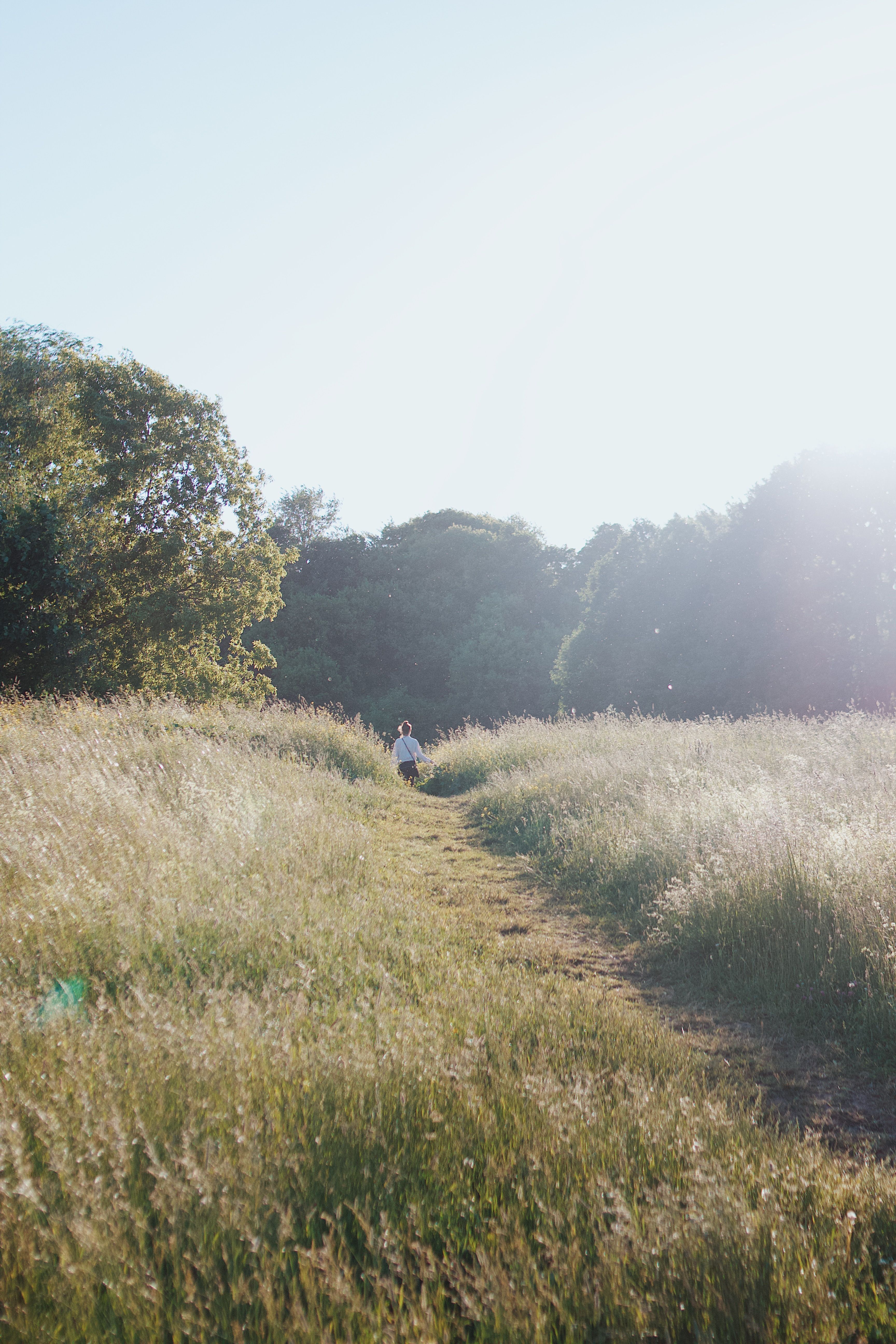 A Person in a Grass Field · Free Stock Photo