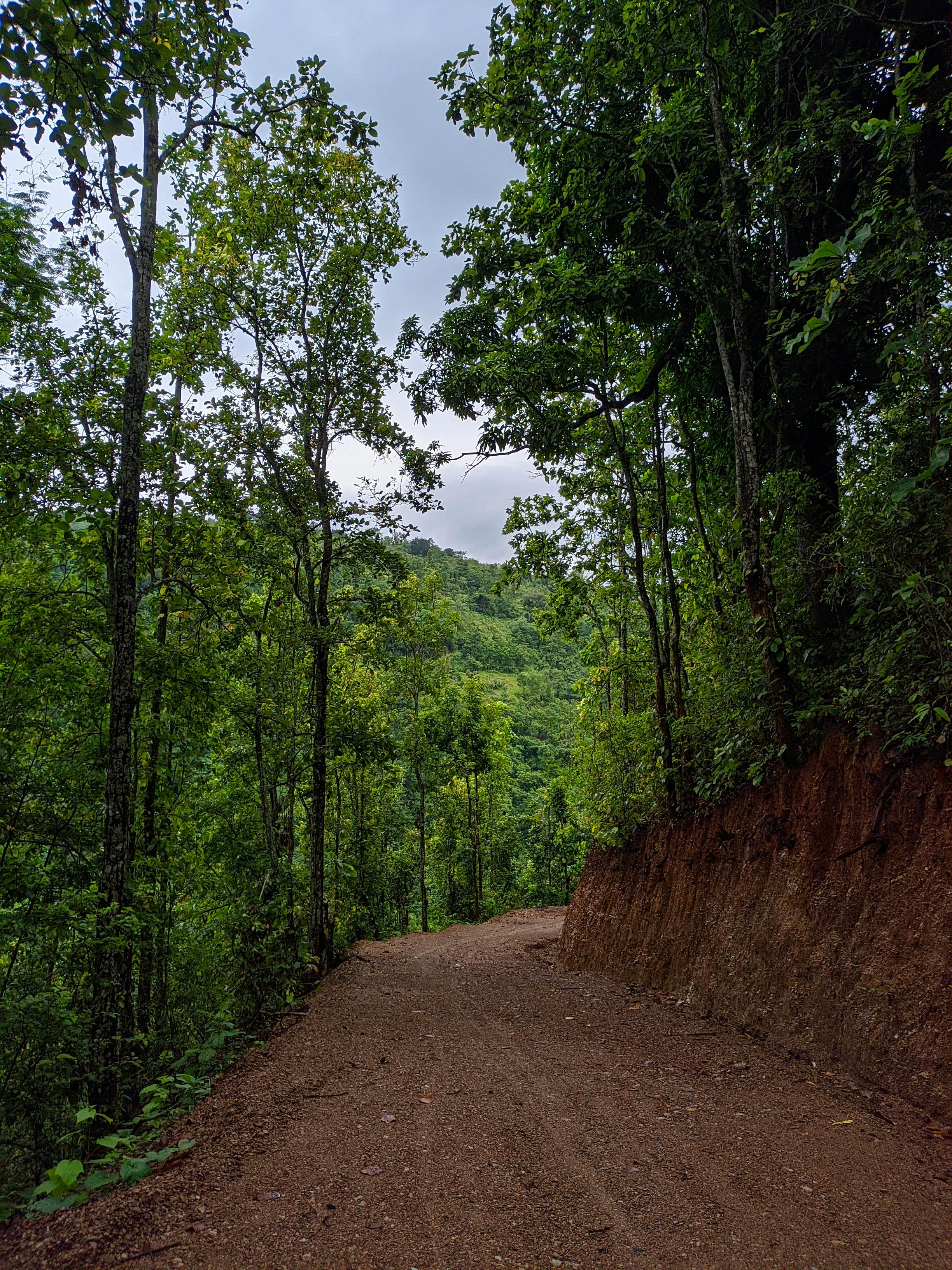 A Green Trees on Mountain Under the Cloudy Sky · Free Stock Photo