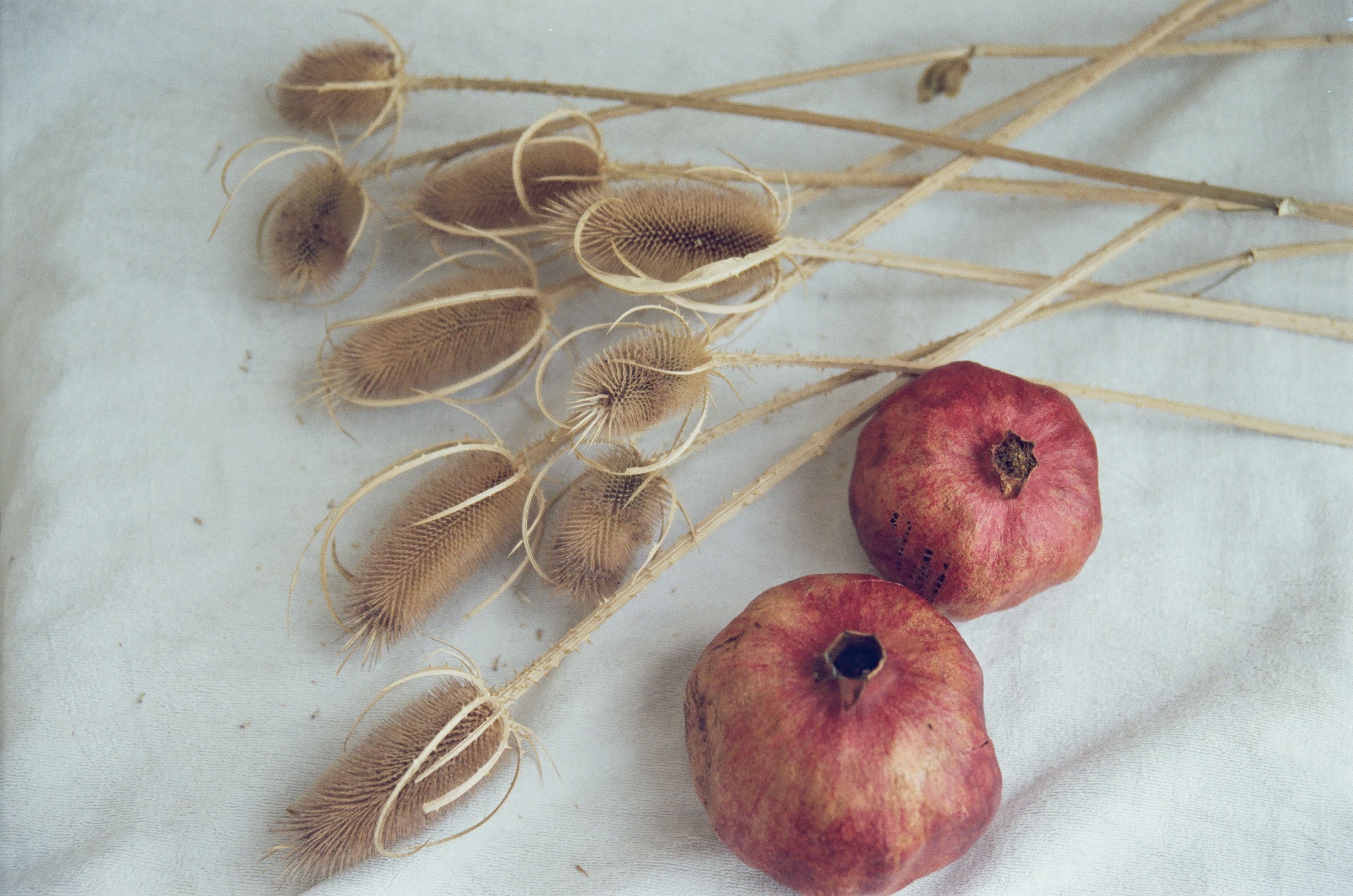 Decoration From Dried Flowers and Pomegranates · Free Stock Photo