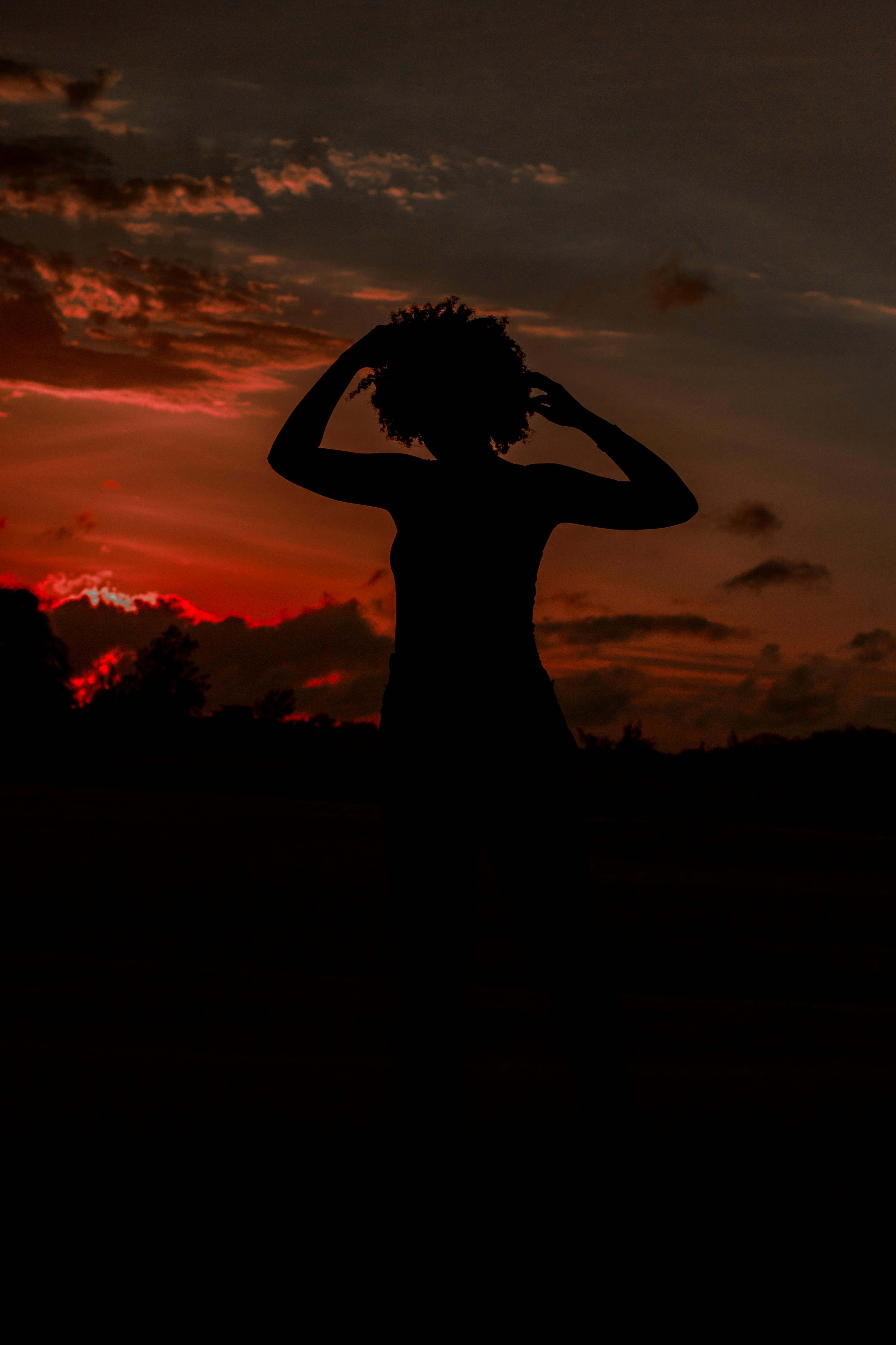 Silhouette of People · Free Stock Photo