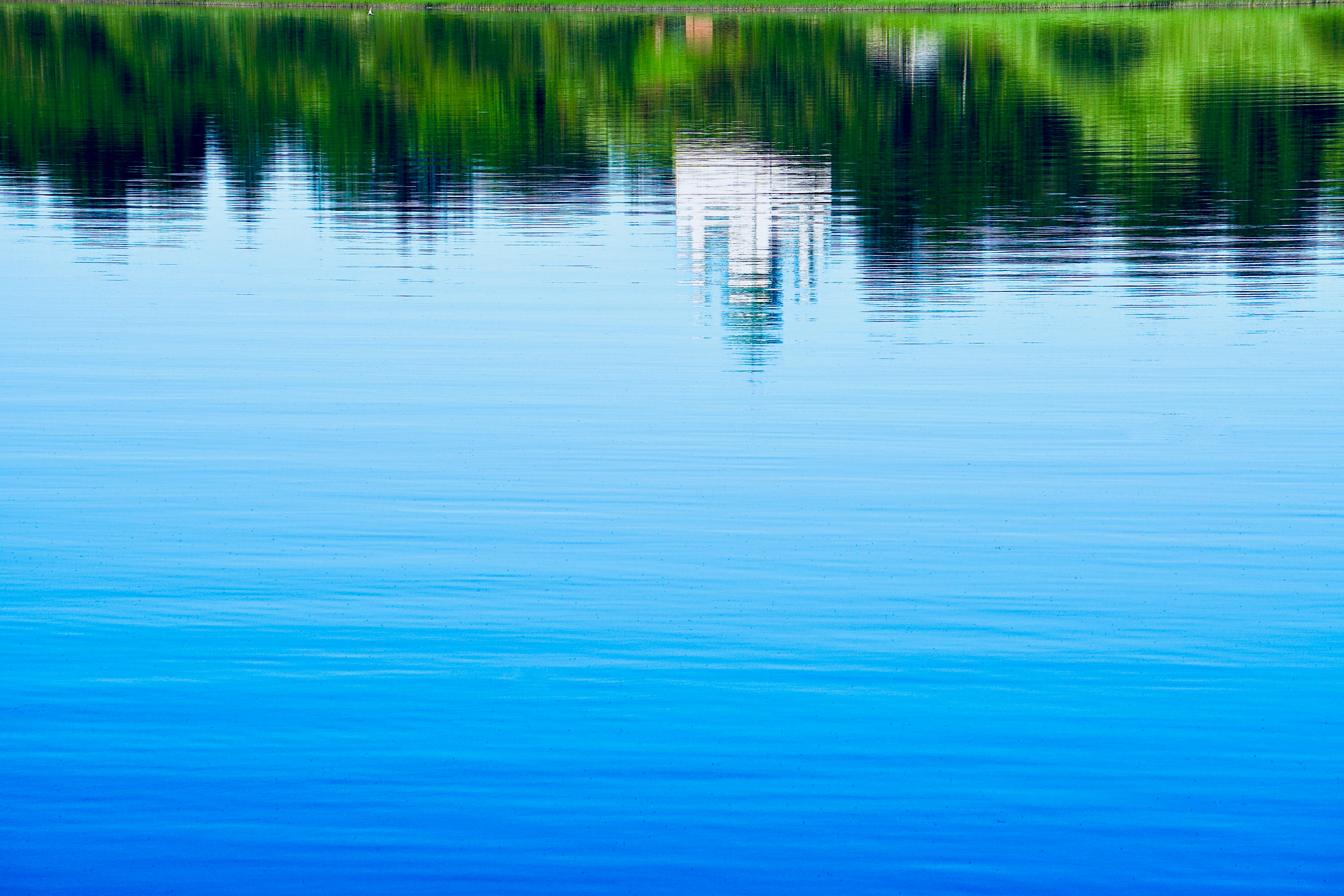 Photo of Reflection on the Water · Free Stock Photo