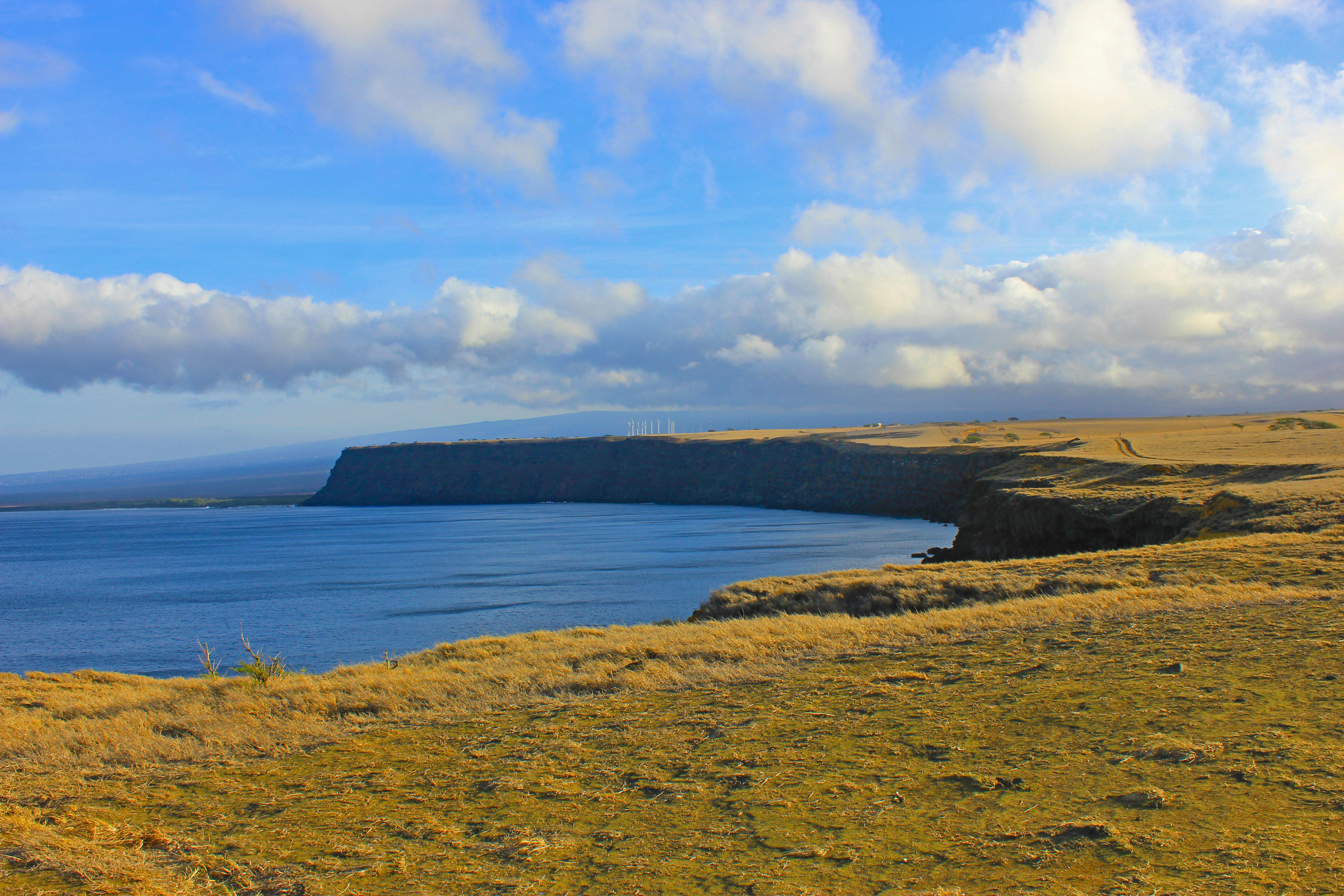 Photo of a Coastal Area · Free Stock Photo