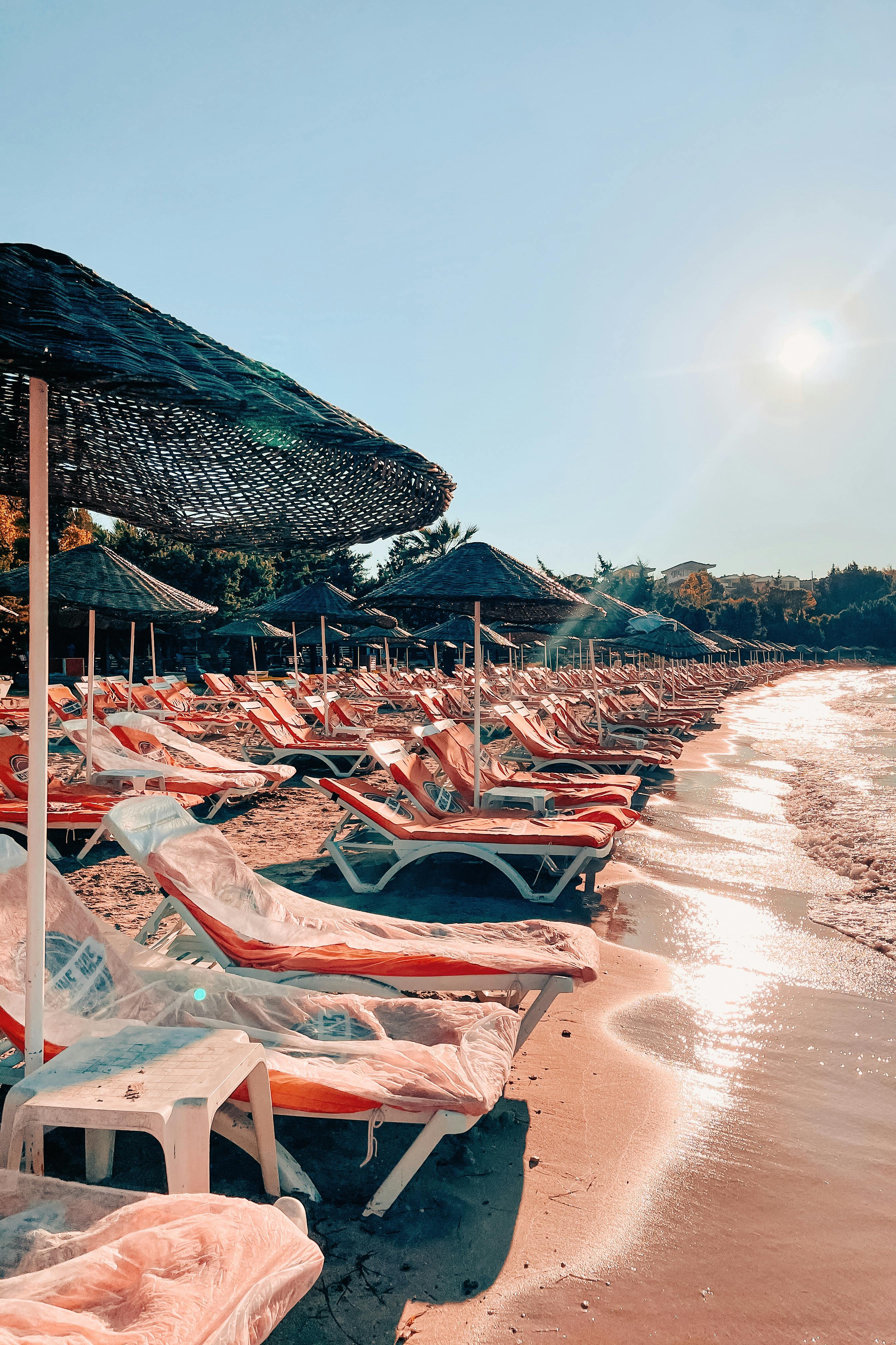 Sunbeds and Umbrellas on Sand Beach · Free Stock Photo