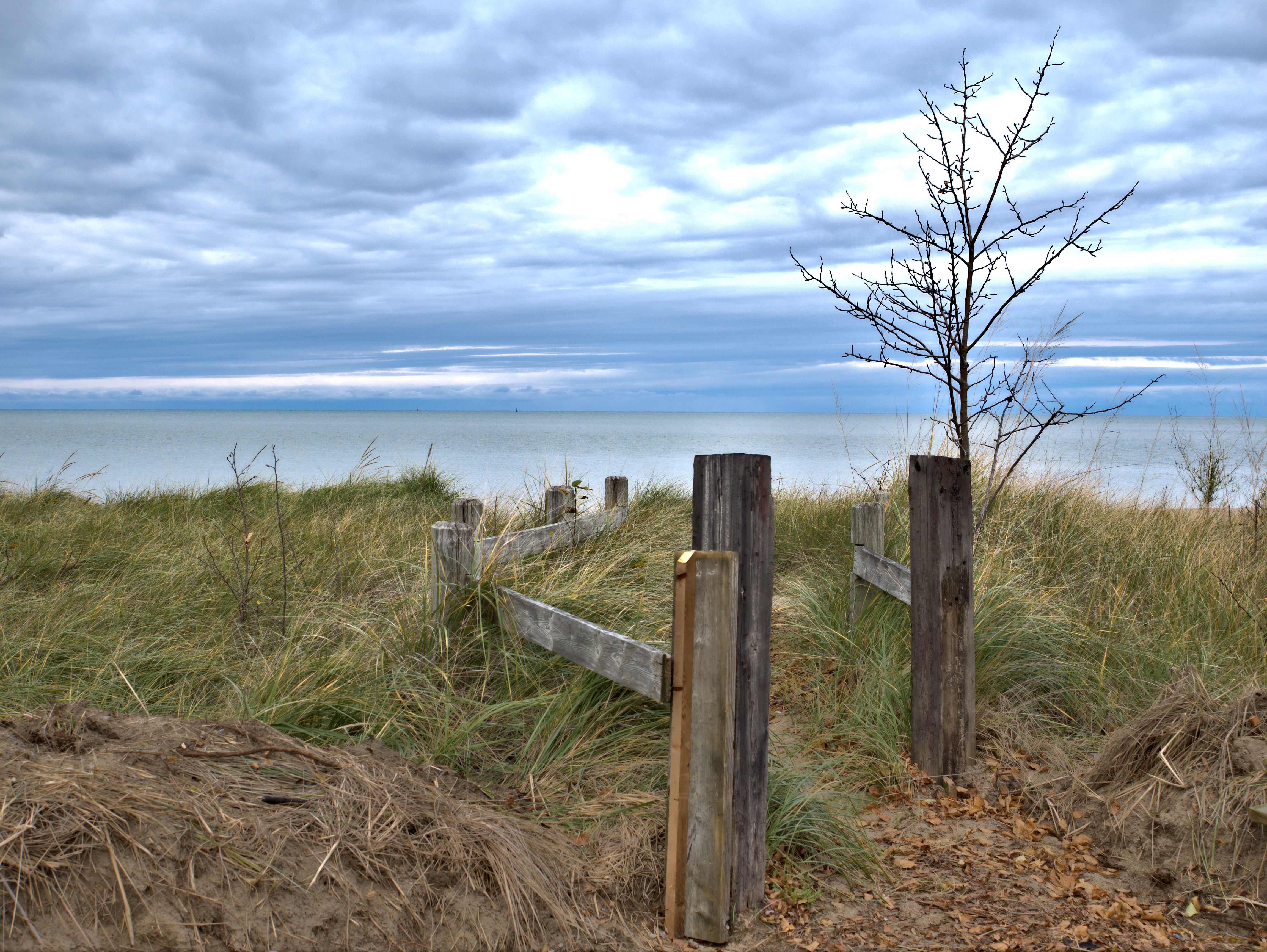 Wooden Fences on Grass Field · Free Stock Photo