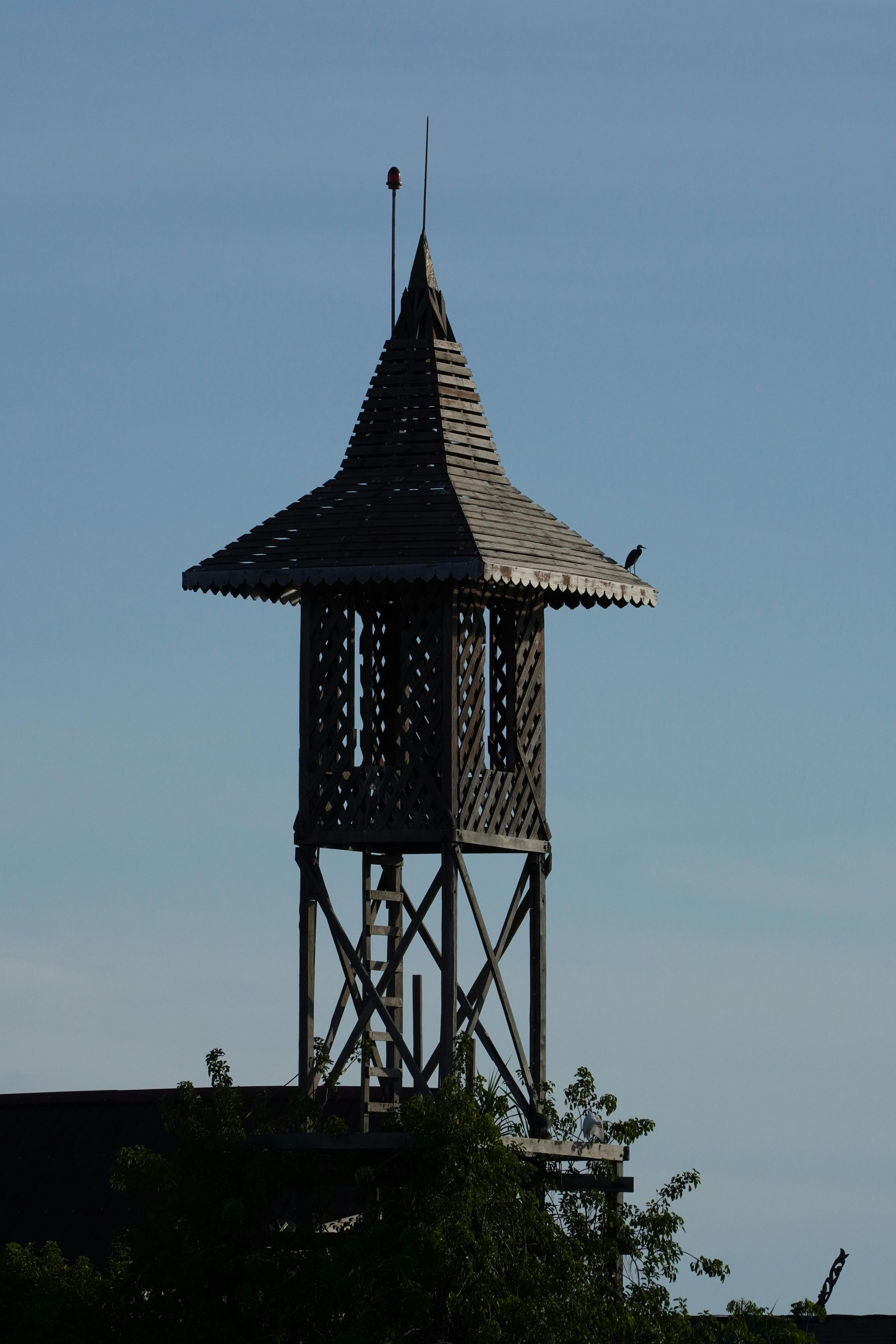 Wooden Observation Tower · Free Stock Photo