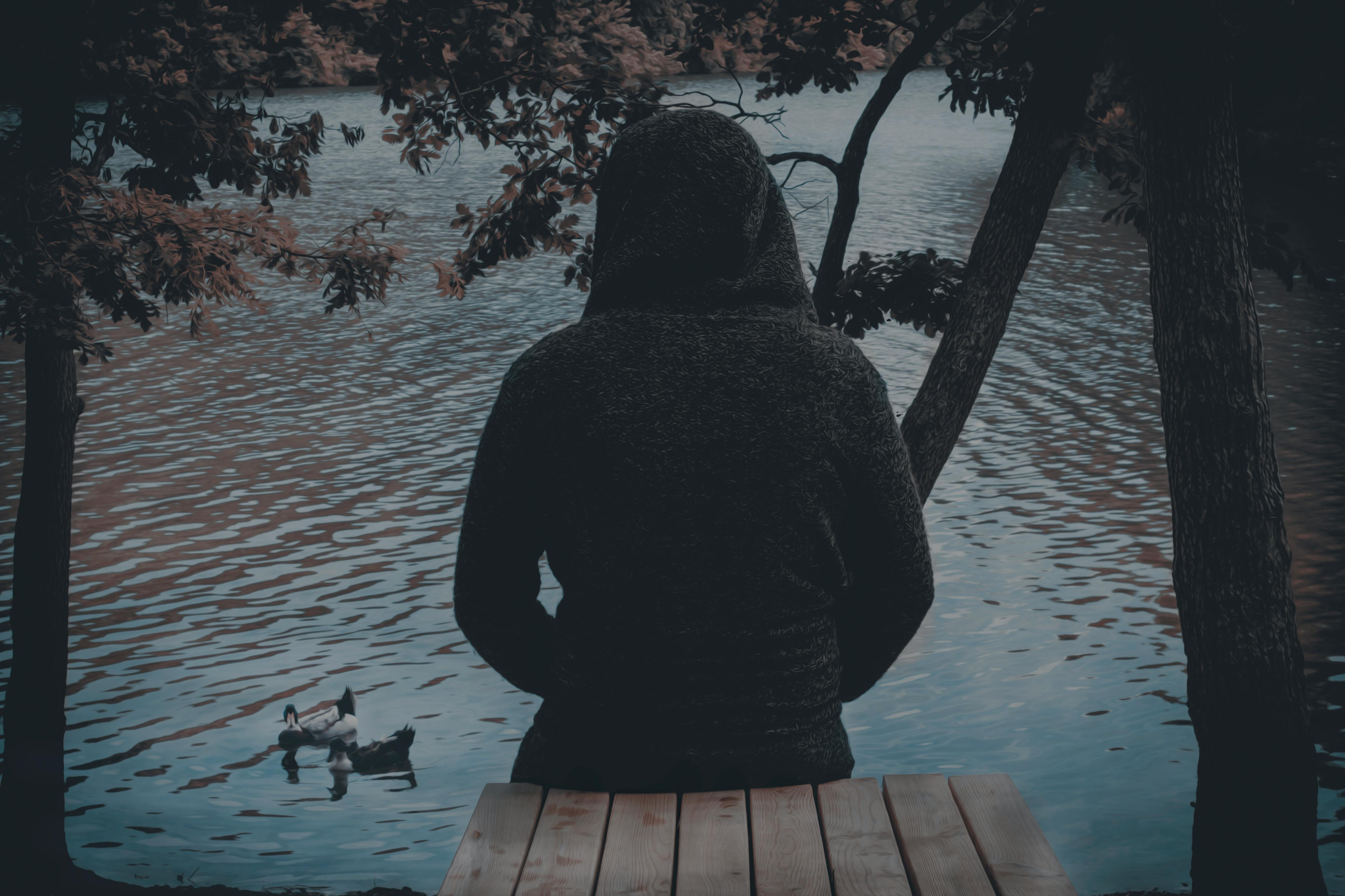Free stock photo of back, trees