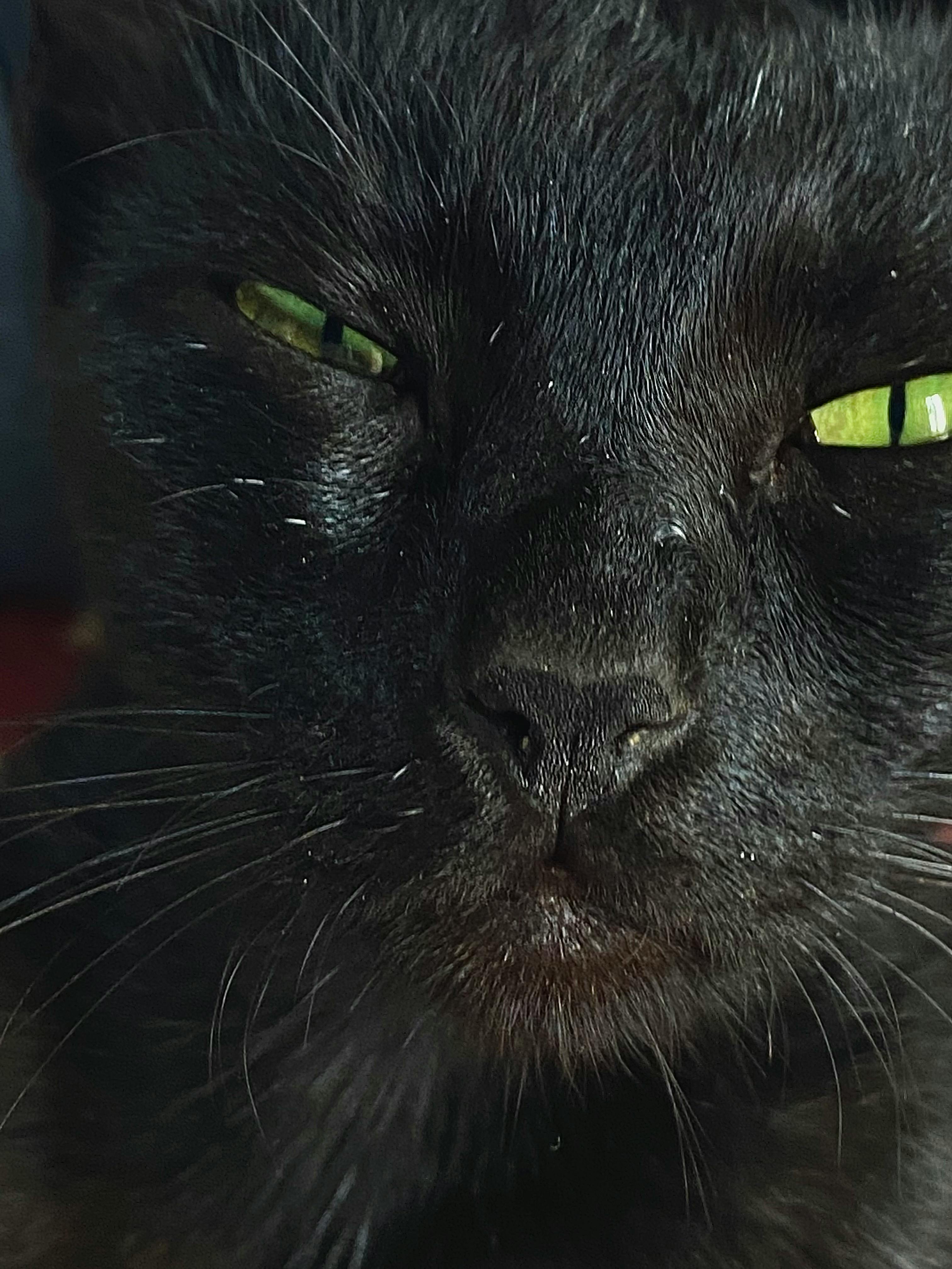 Zehra Topak - Photography