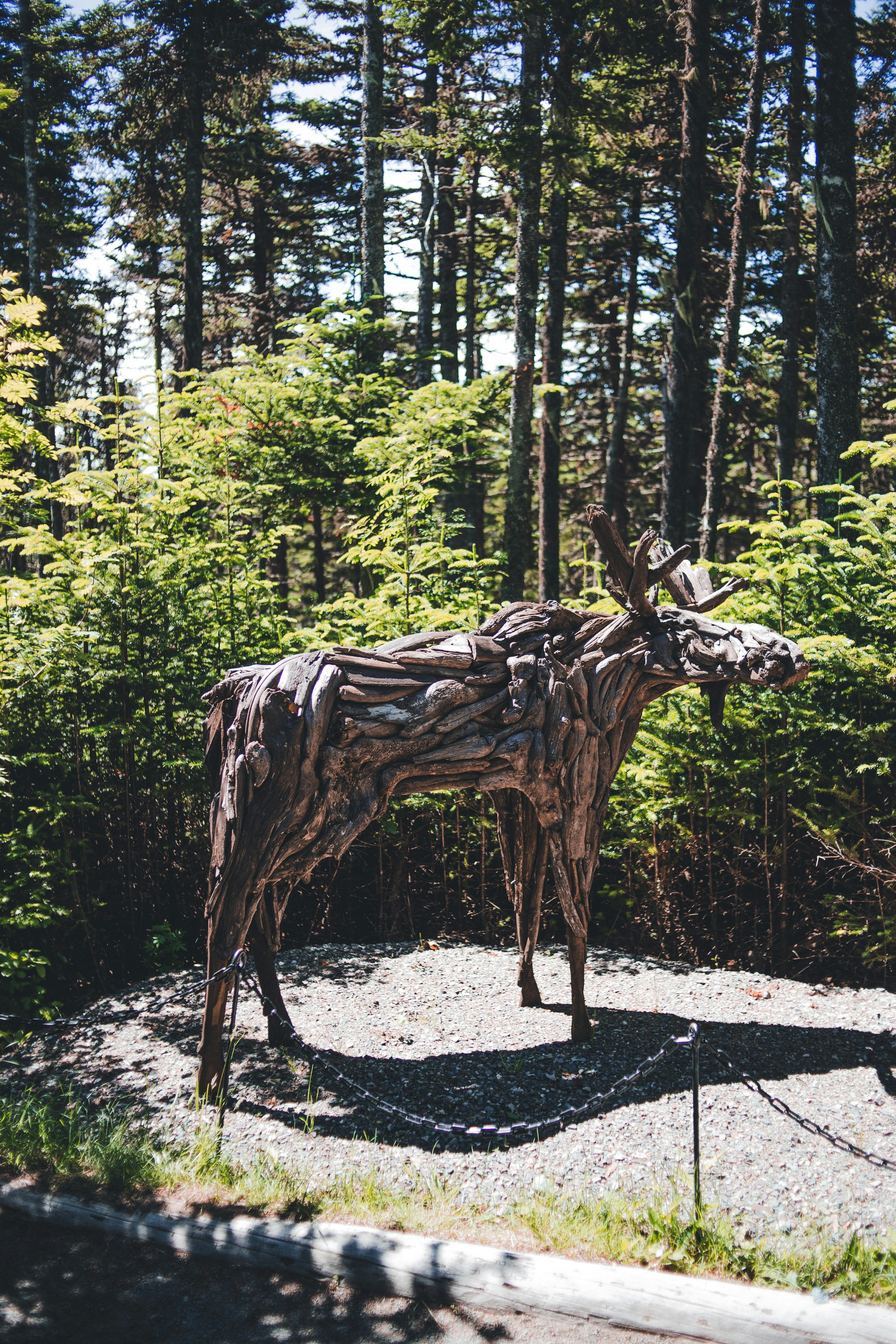 Wooden Animal Sculpture · Free Stock Photo